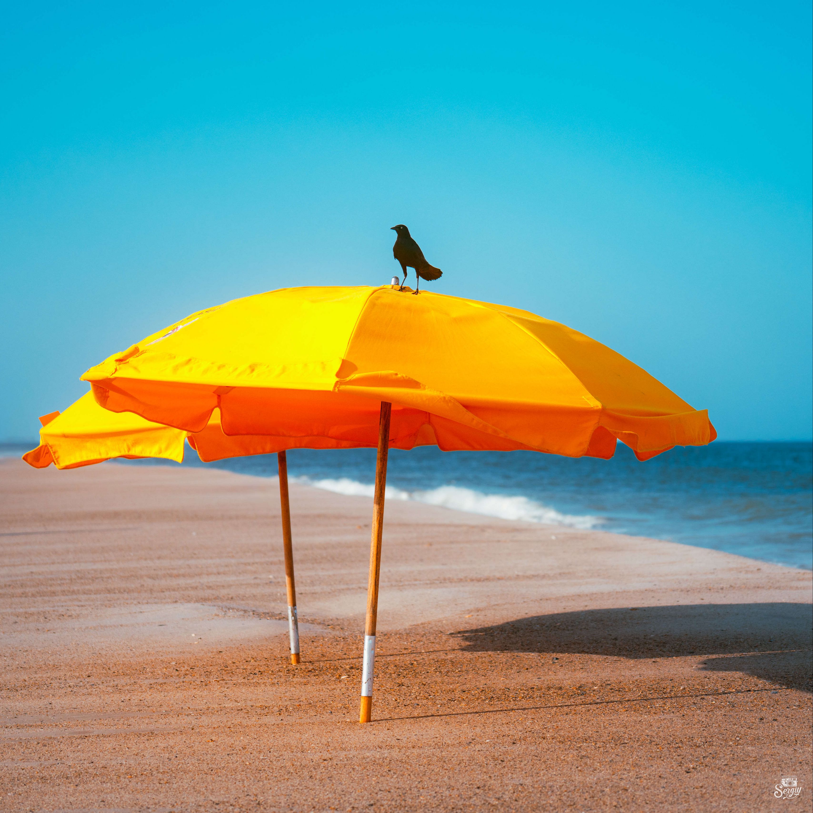 Download wallpaper 3415x3415 crow, umbrella, beach, sea, landscape ipad ...