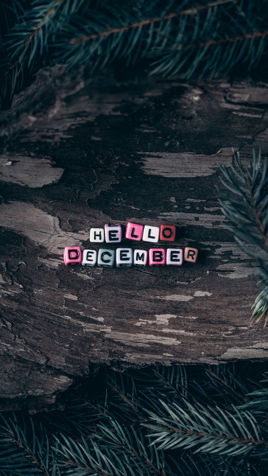 Download wallpaper 938x1668 december, letters, branches, spruce, winter ...