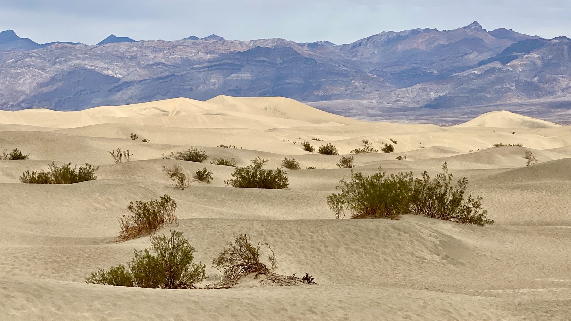 Download wallpaper 1920x1080 desert, dunes, mountains, nature ...