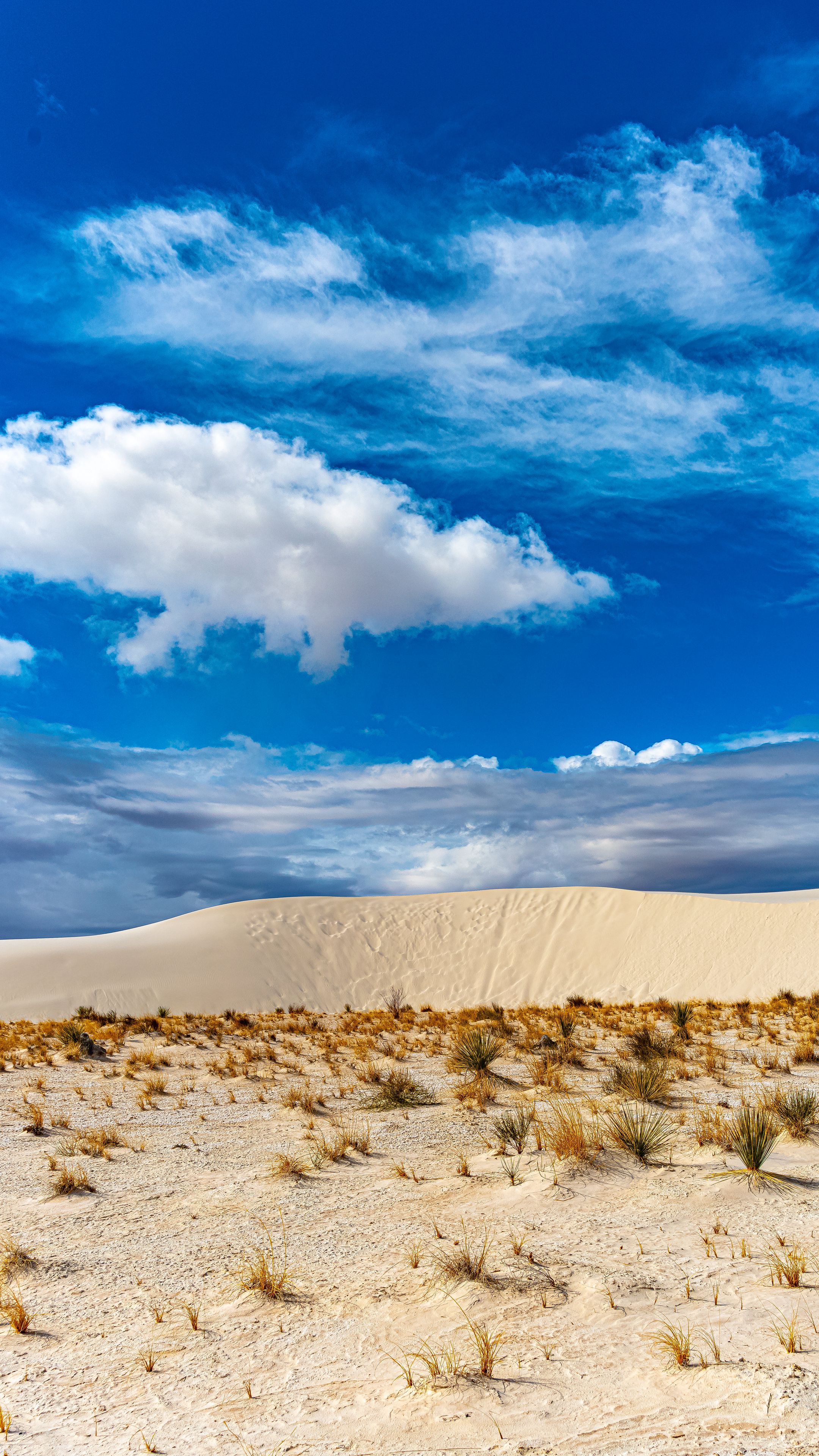 Download wallpaper 2160x3840 desert, sand, grass, dry, sky, clouds ...