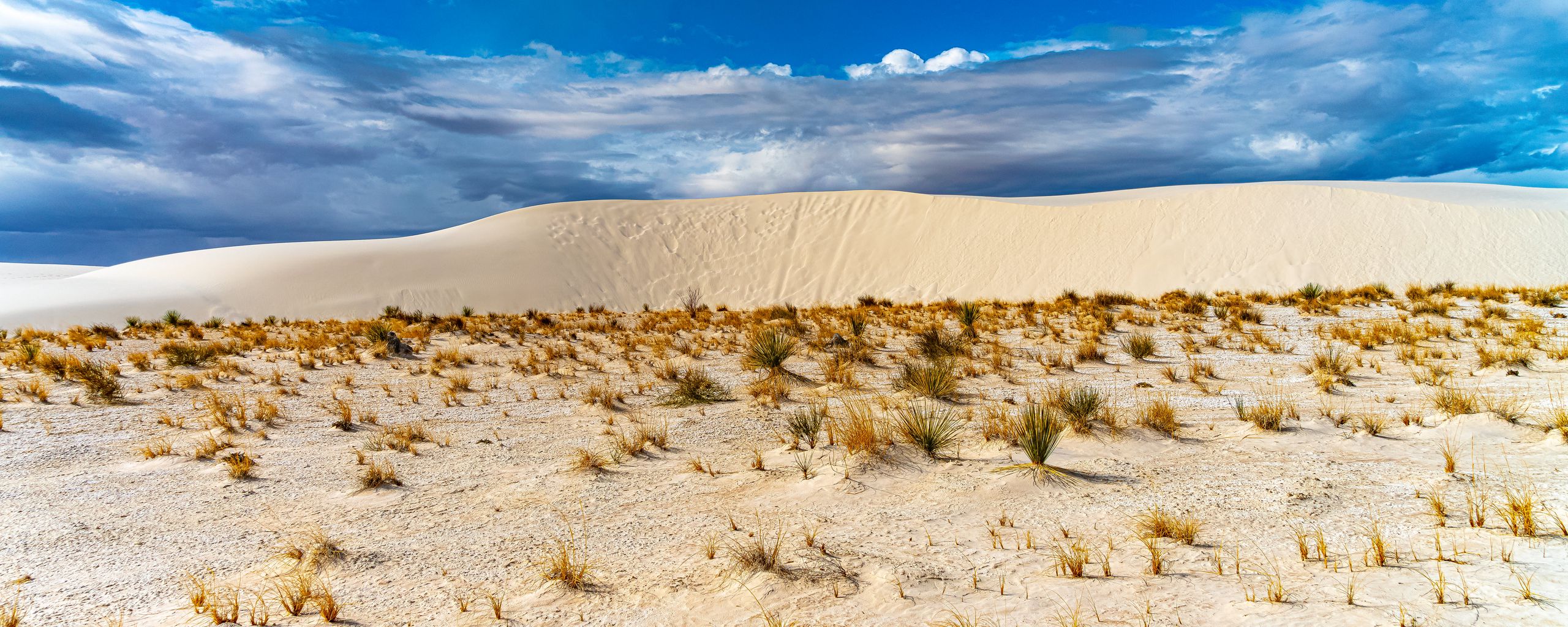 Download wallpaper 2560x1024 desert, sand, grass, dry, sky, clouds ...