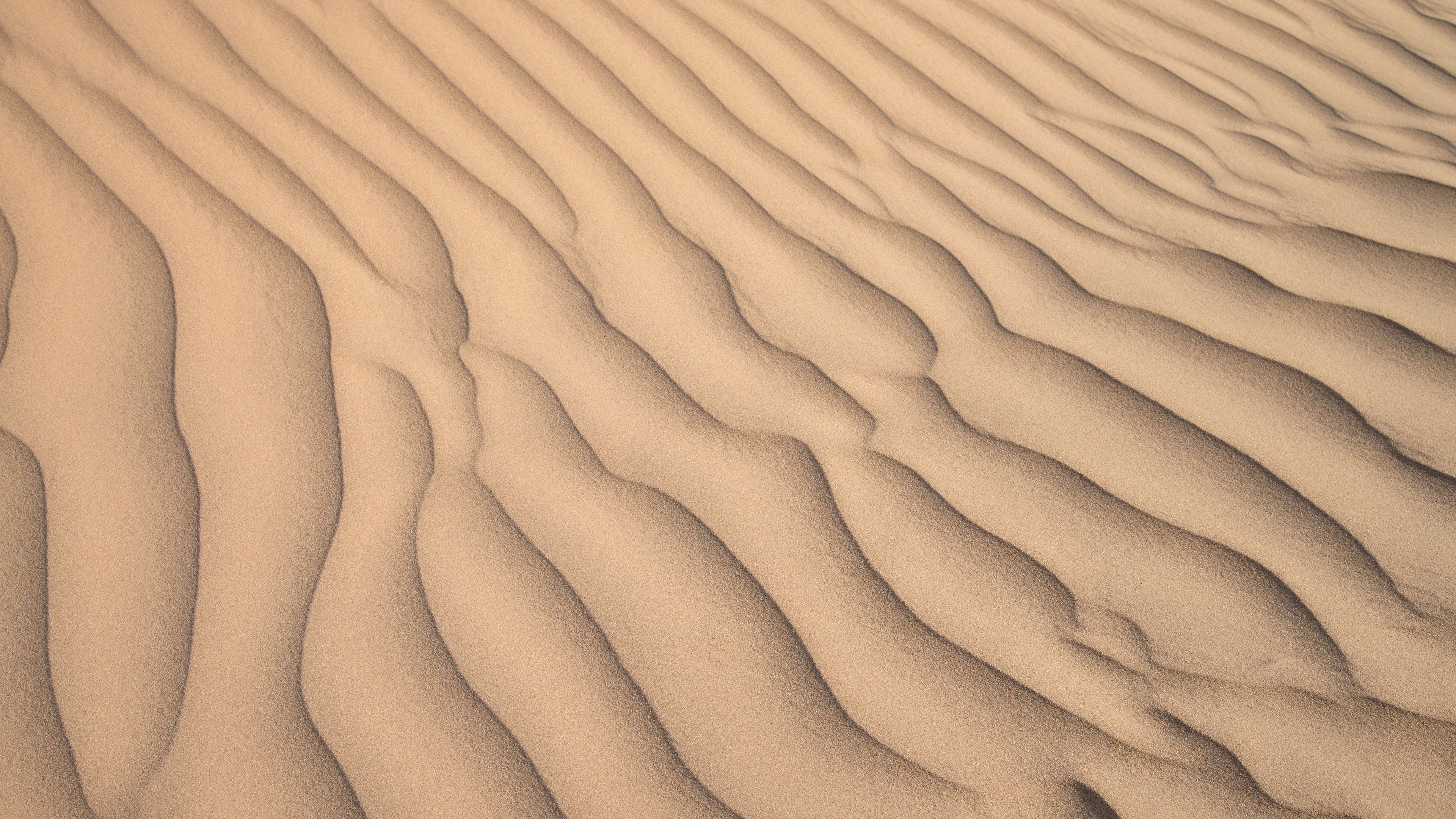 Download wallpaper 3840x2160 desert, sand, waves, relief, texture 4k ...