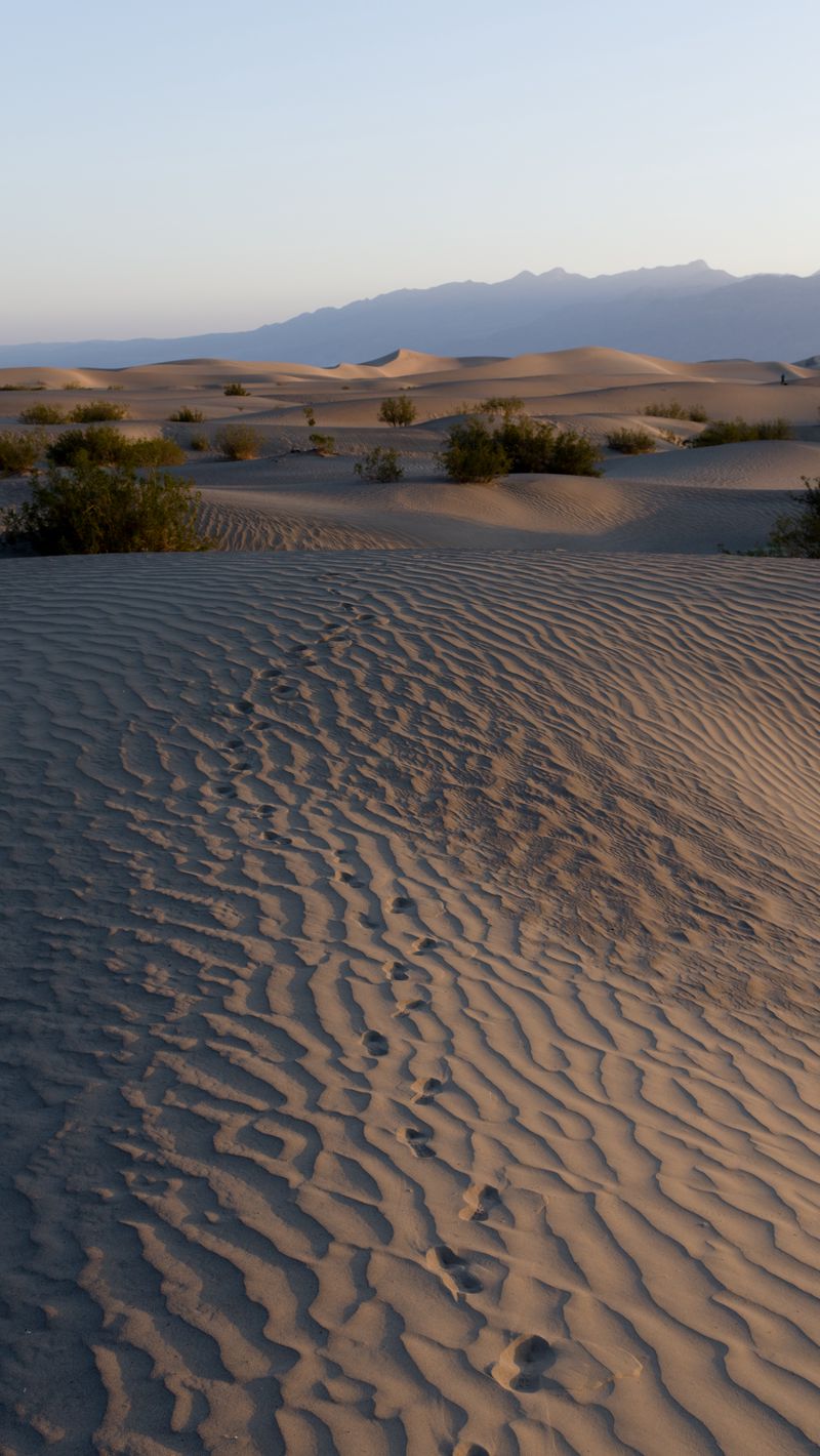 Download wallpaper 800x1420 desert, sands, traces, relief, valley ...