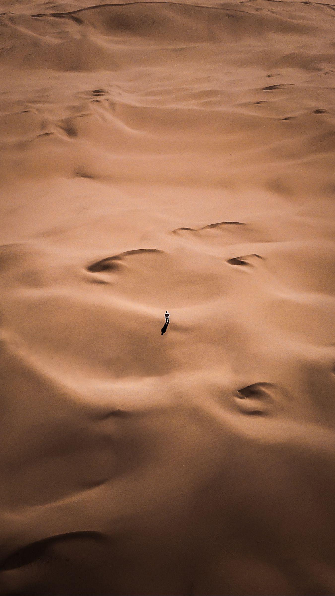 Download wallpaper 1350x2400 desert, silhouette, alone, aerial view ...