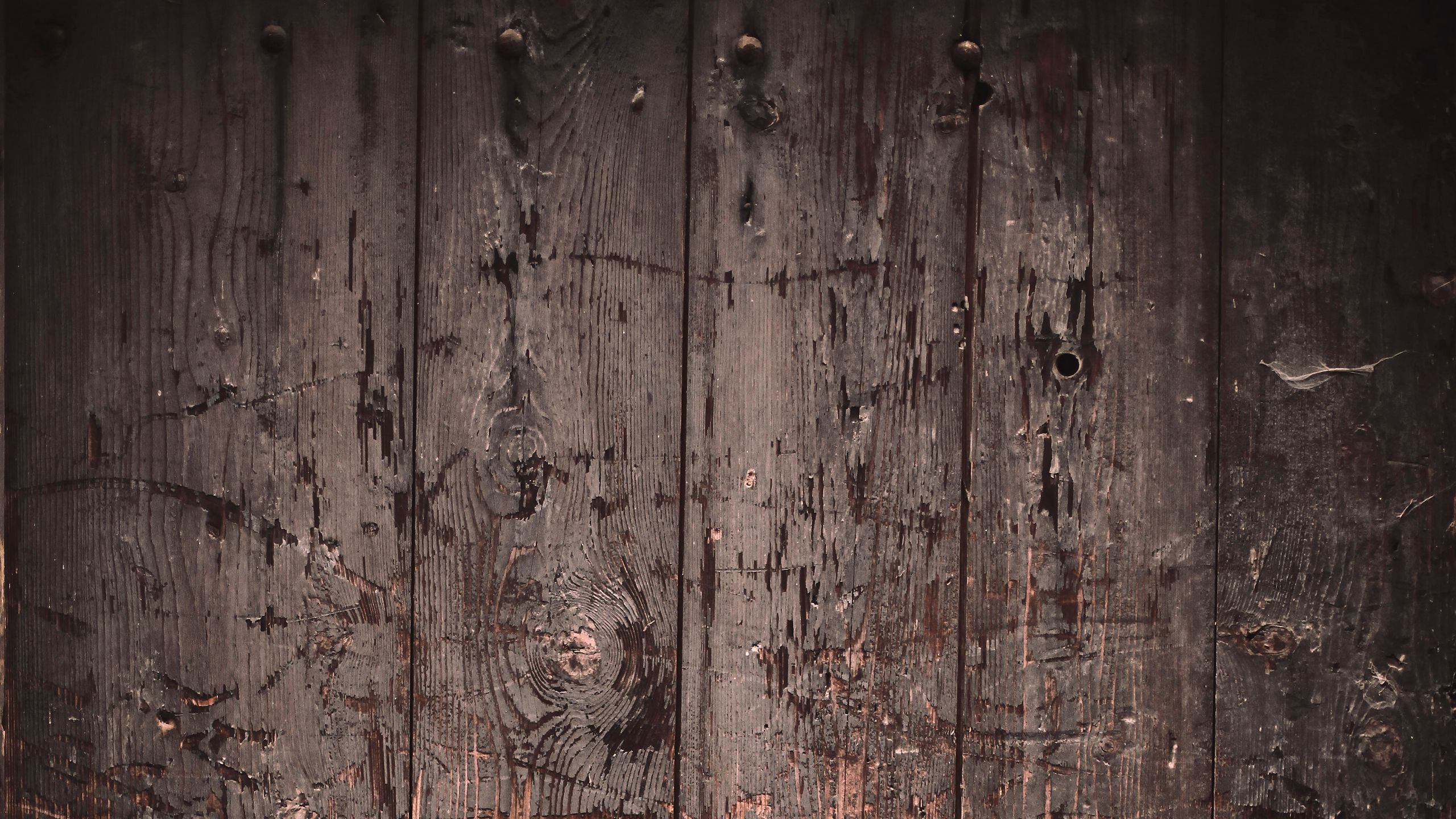 Download wallpaper 2560x1440 door, scratches, wooden, surface ...