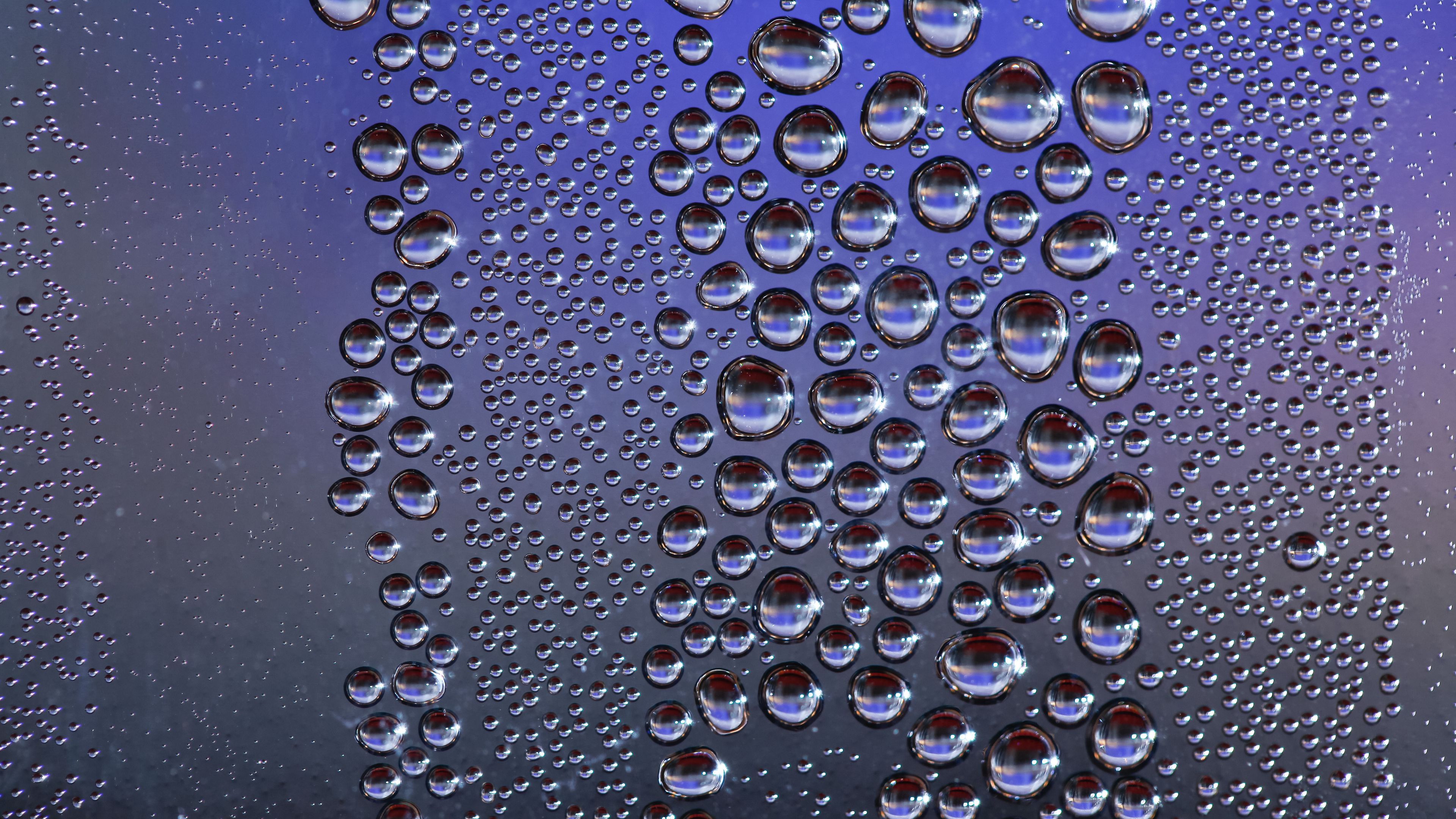 Download wallpaper 3840x2160 drops, close-up, surface, moisture 4k uhd ...