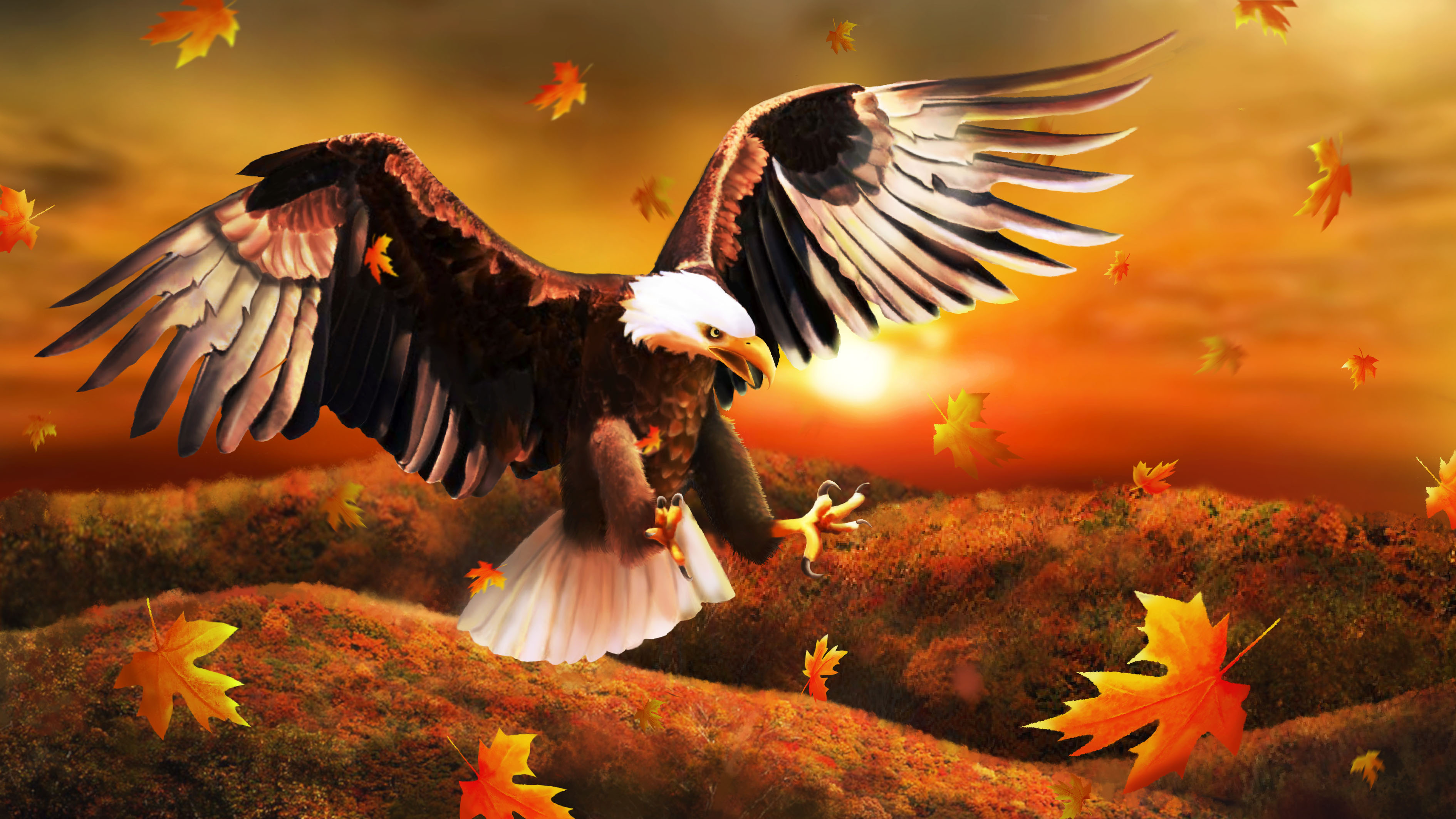 Hd Eagle Backgrounds Wallpapers