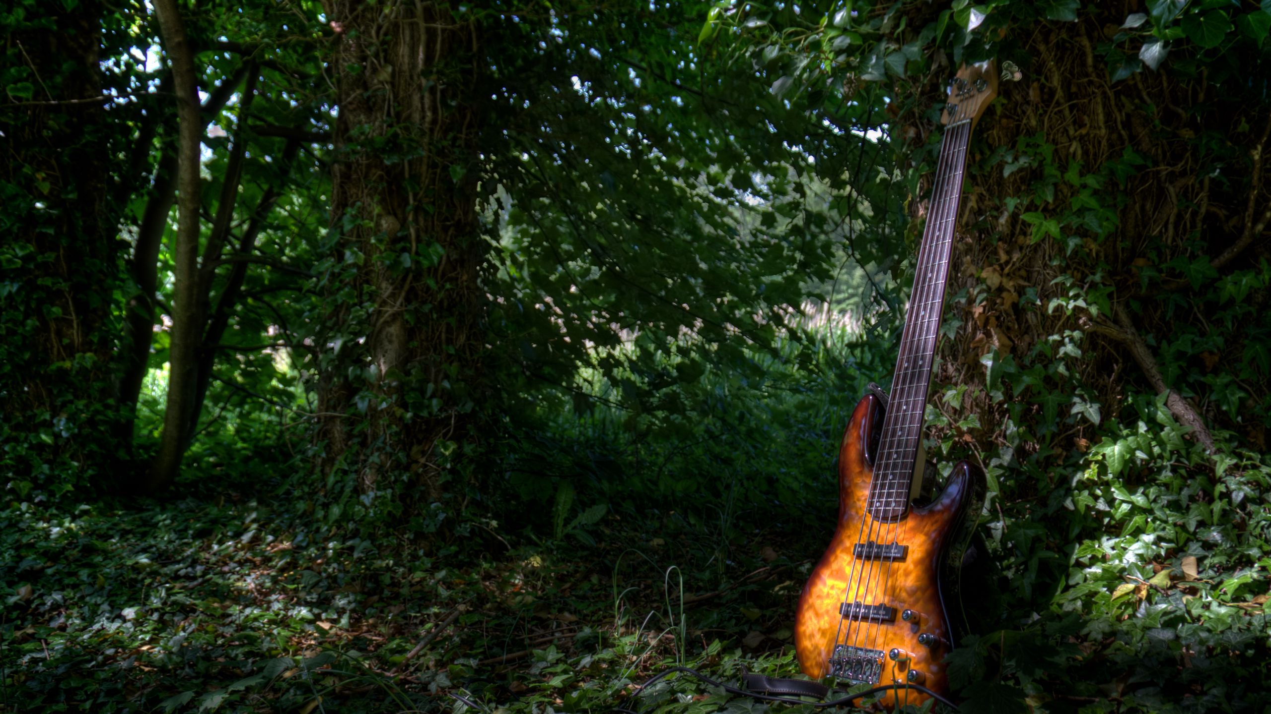 Download wallpaper 2560x1440 electric guitar, guitar, music, leaves ...