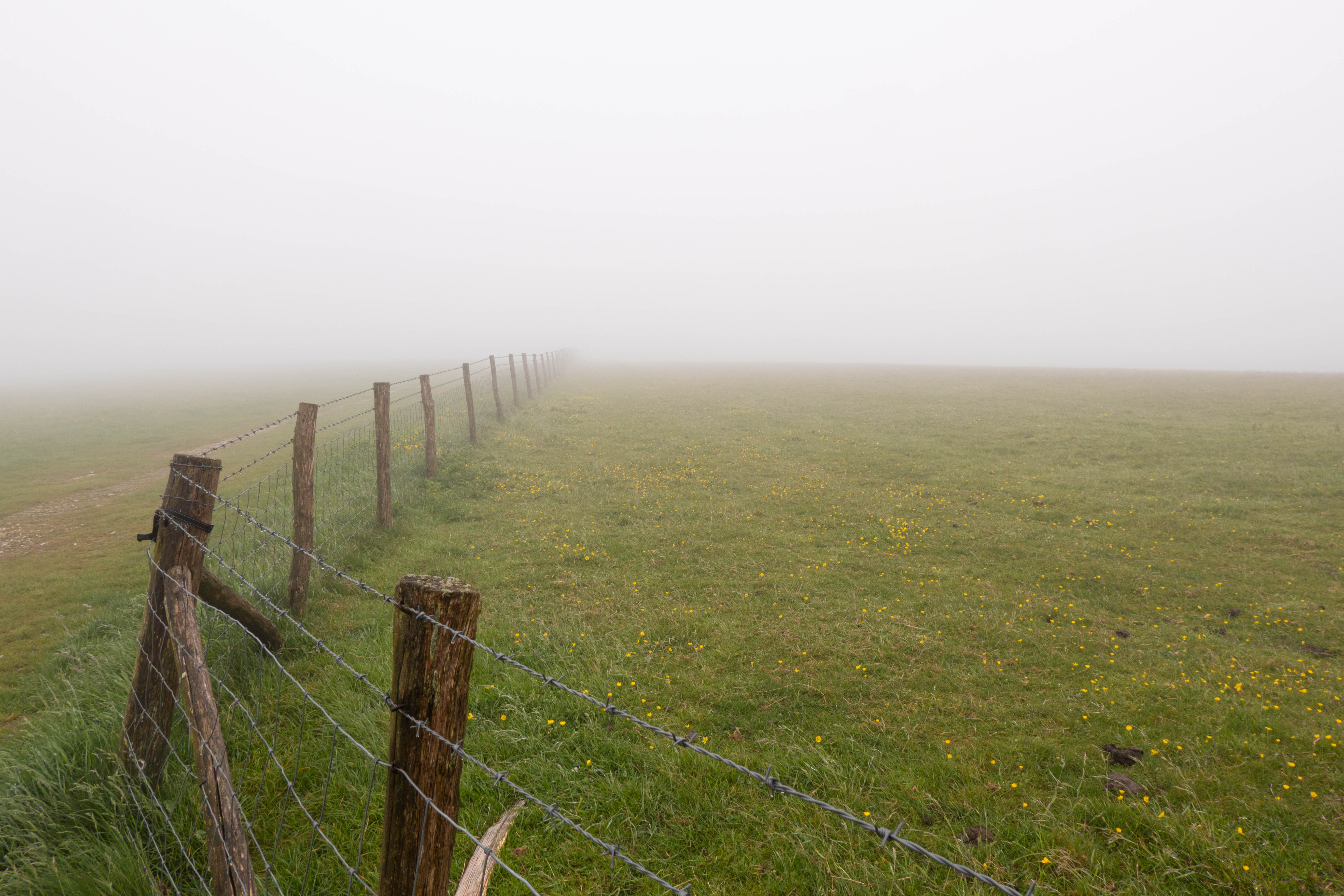 Download wallpaper 5472x3648 fence, grass, field, flowers, fog hd ...