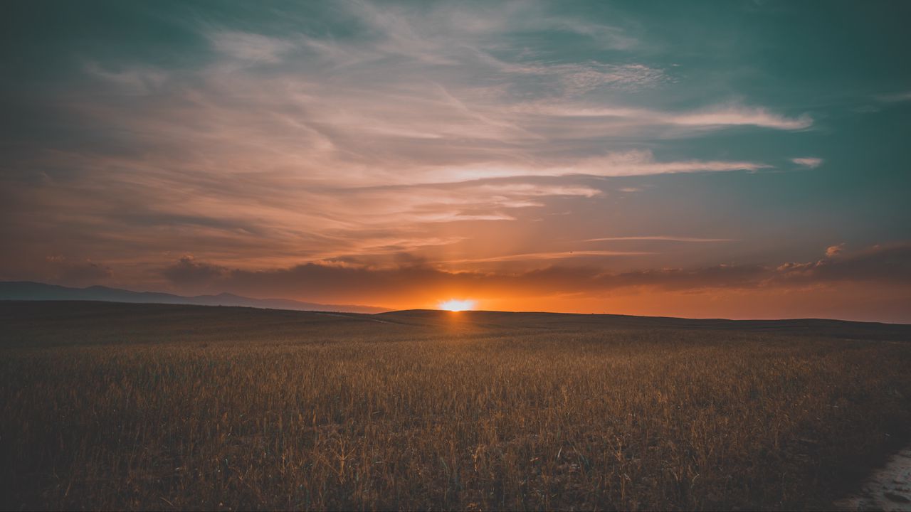 Wallpaper field, grass, sunset, sky hd, picture, image