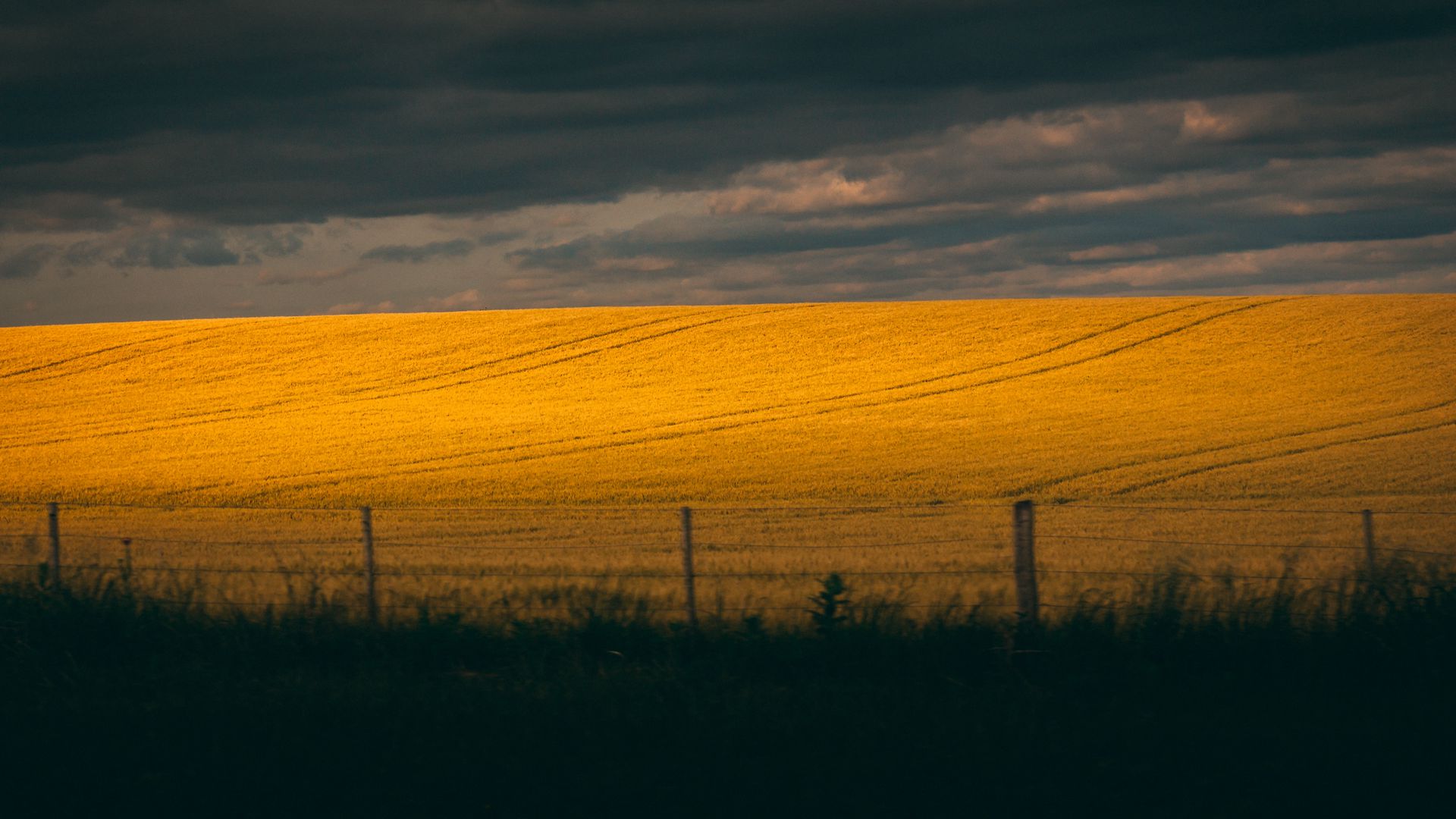 Download wallpaper 1920x1080 field, hill, clouds, dark, landscape full ...