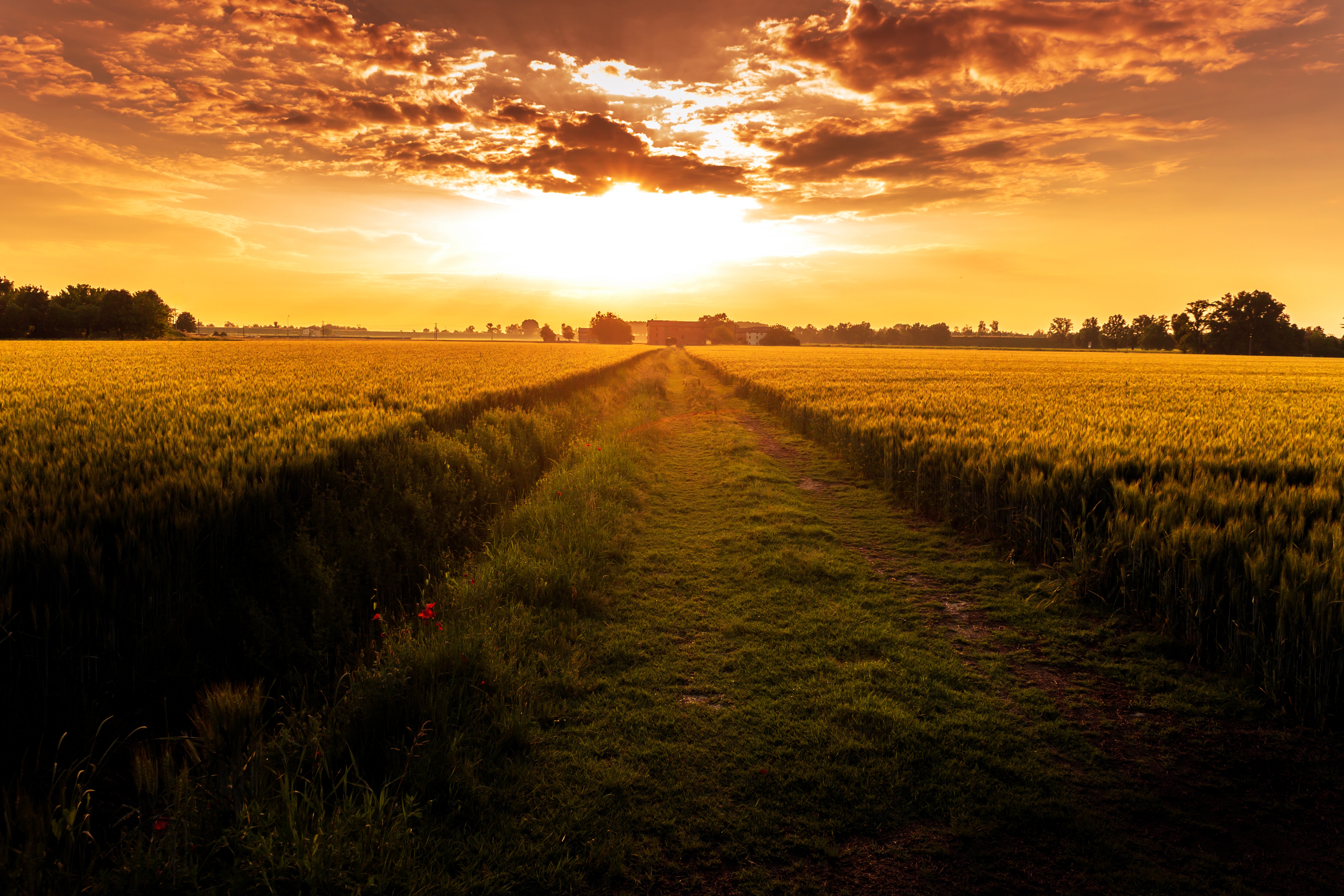 Download wallpaper 5472x3648 field, path, sunset, horizon hd background