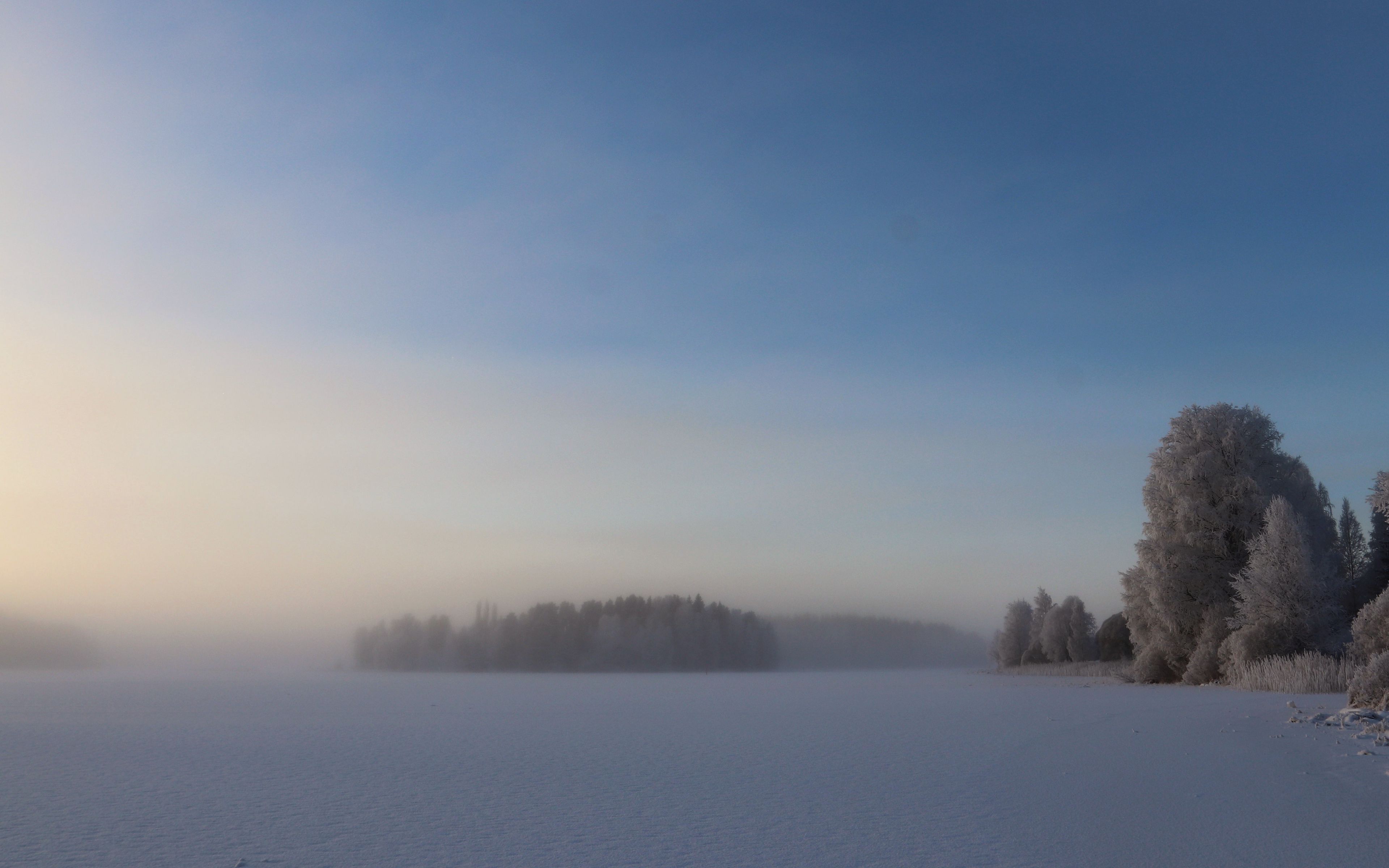Download wallpaper 3840x2400 field, trees, forest, fog, snow, winter ...