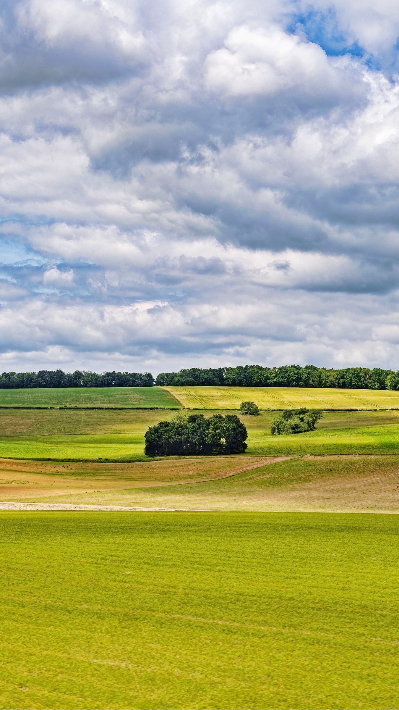 Download wallpaper 1350x2400 fields, trees, landscape iphone 8+/7+/6s ...