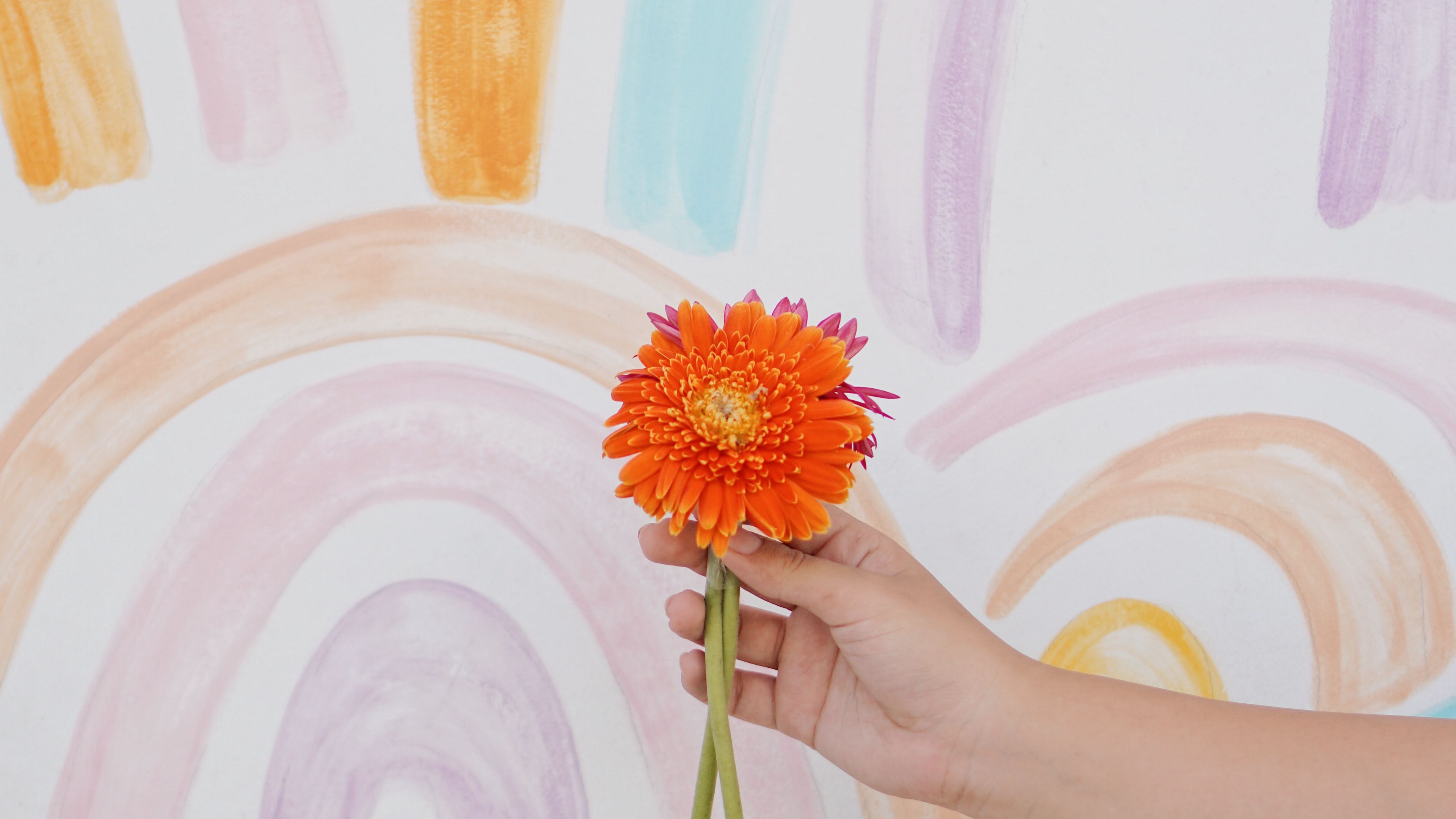 Download wallpaper 3840x2160 flowers, hand, minimalism 4k uhd 16:9 hd ...