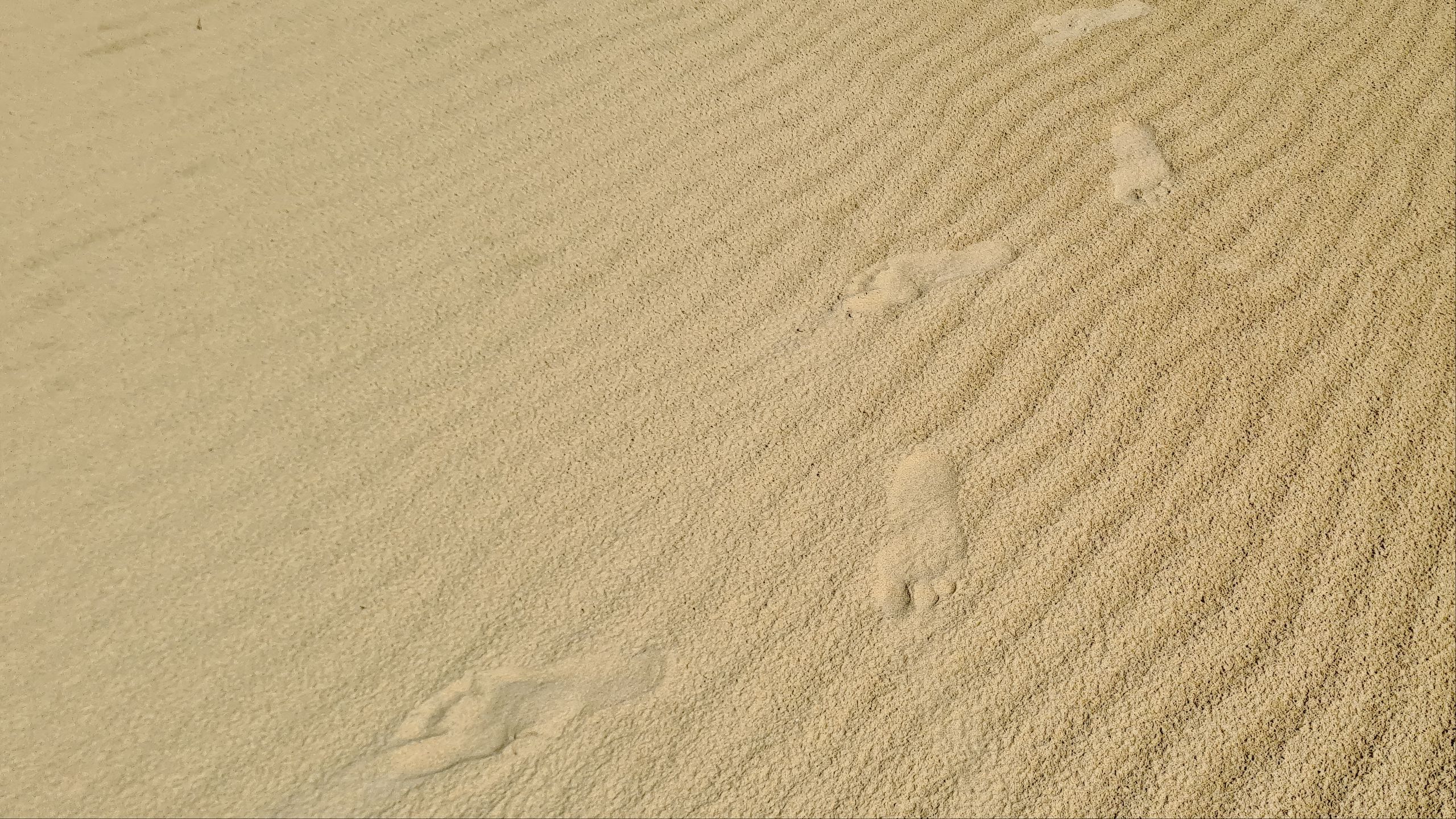 Download wallpaper 2560x1440 footprints, feet, sand, texture widescreen ...