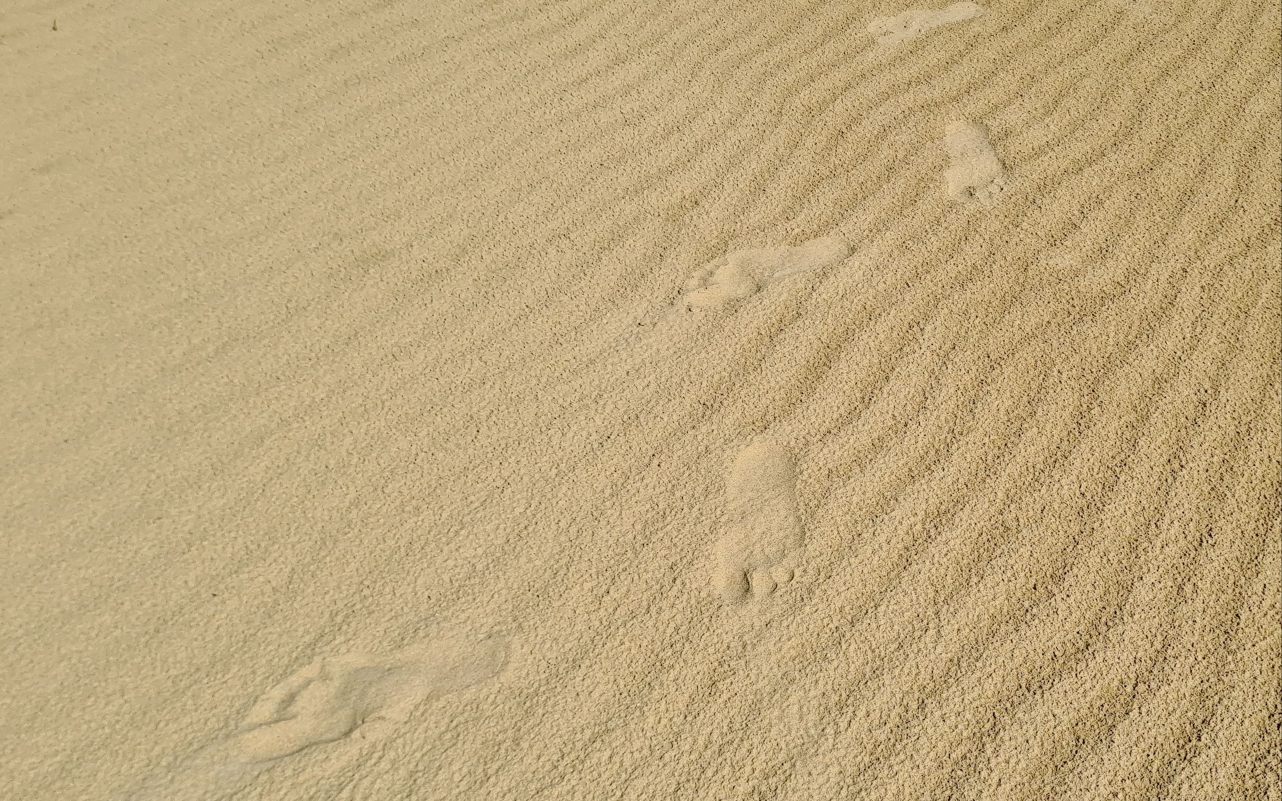 Download wallpaper 2560x1600 footprints, feet, sand, texture widescreen ...