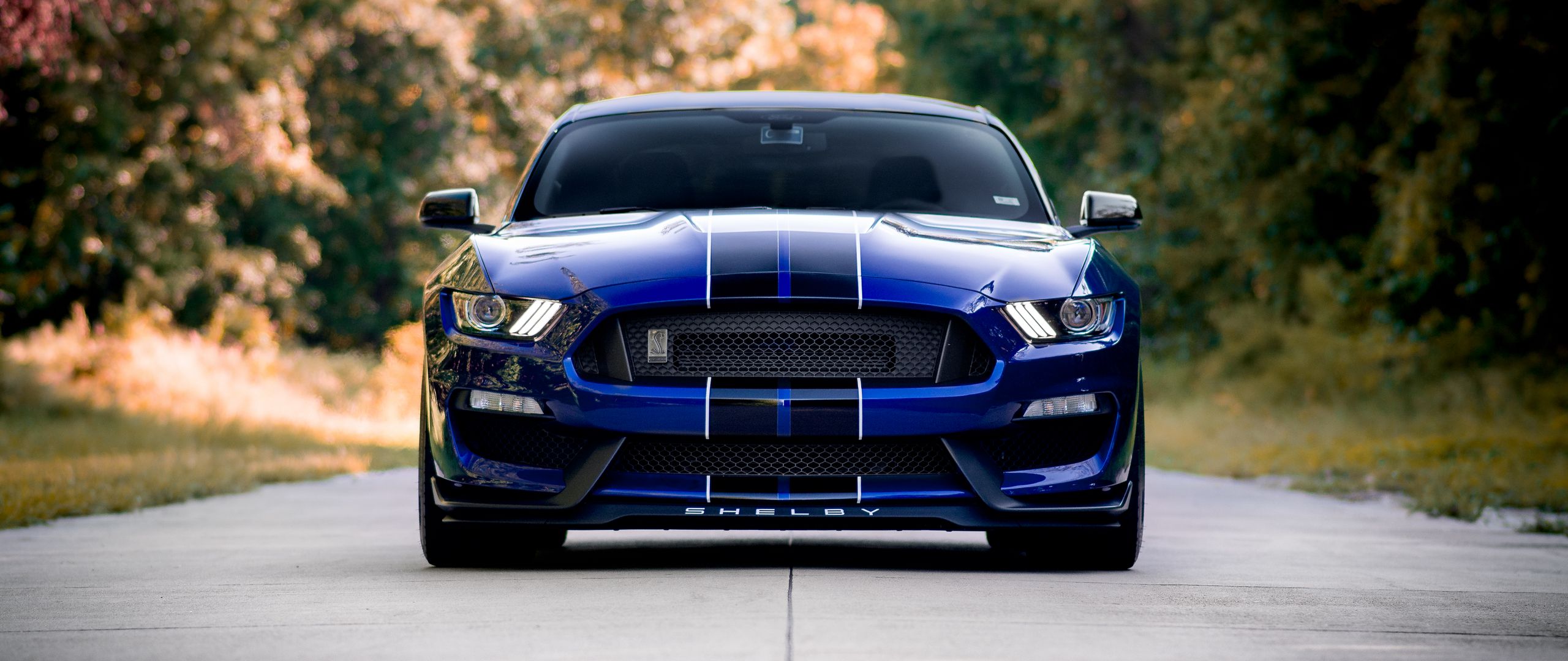 Download wallpaper 2560x1080 ford mustang, mustang, car, blue, road ...