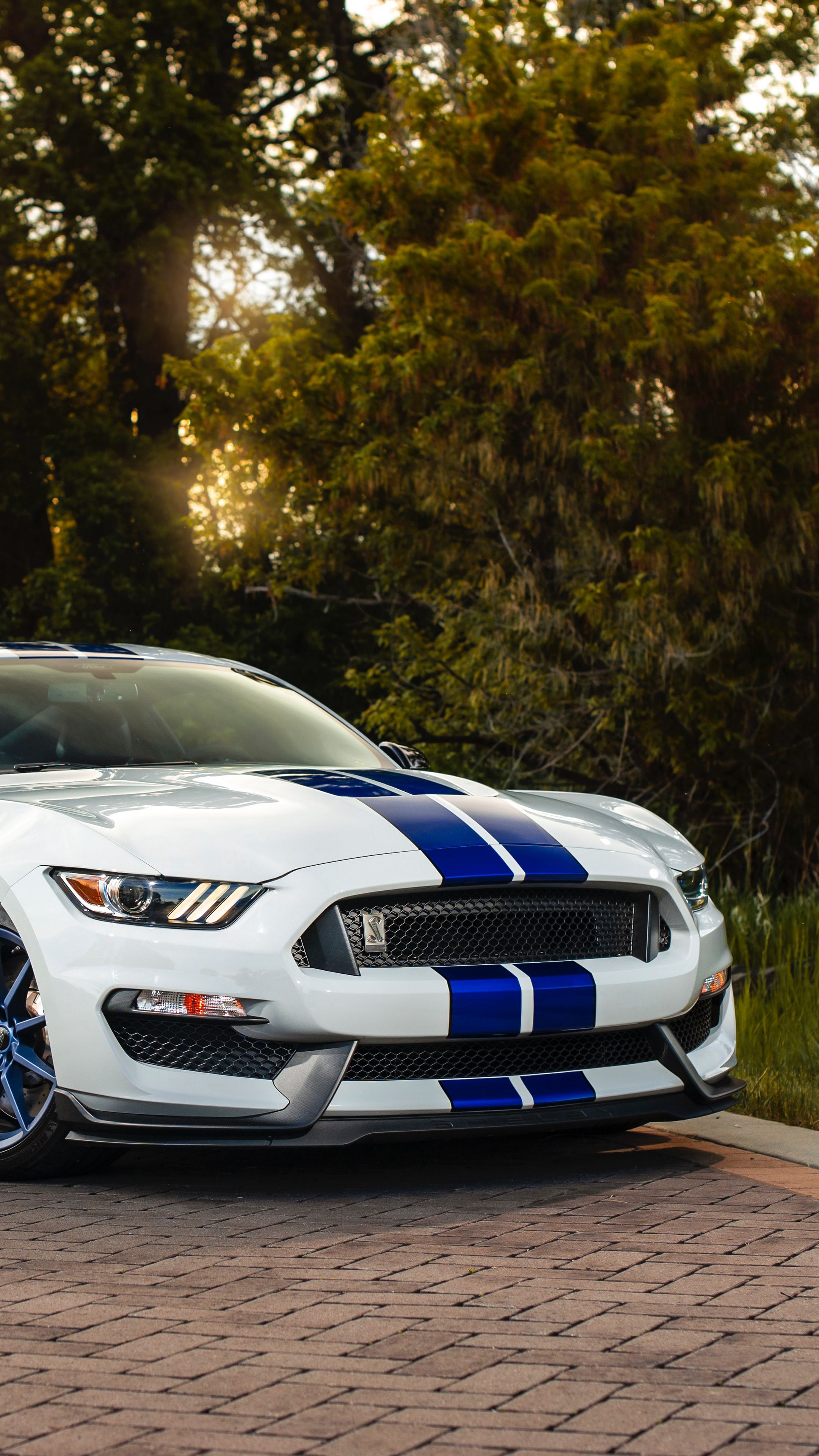 Download wallpaper 2160x3840 ford mustang gt350, ford, car, sportscar ...