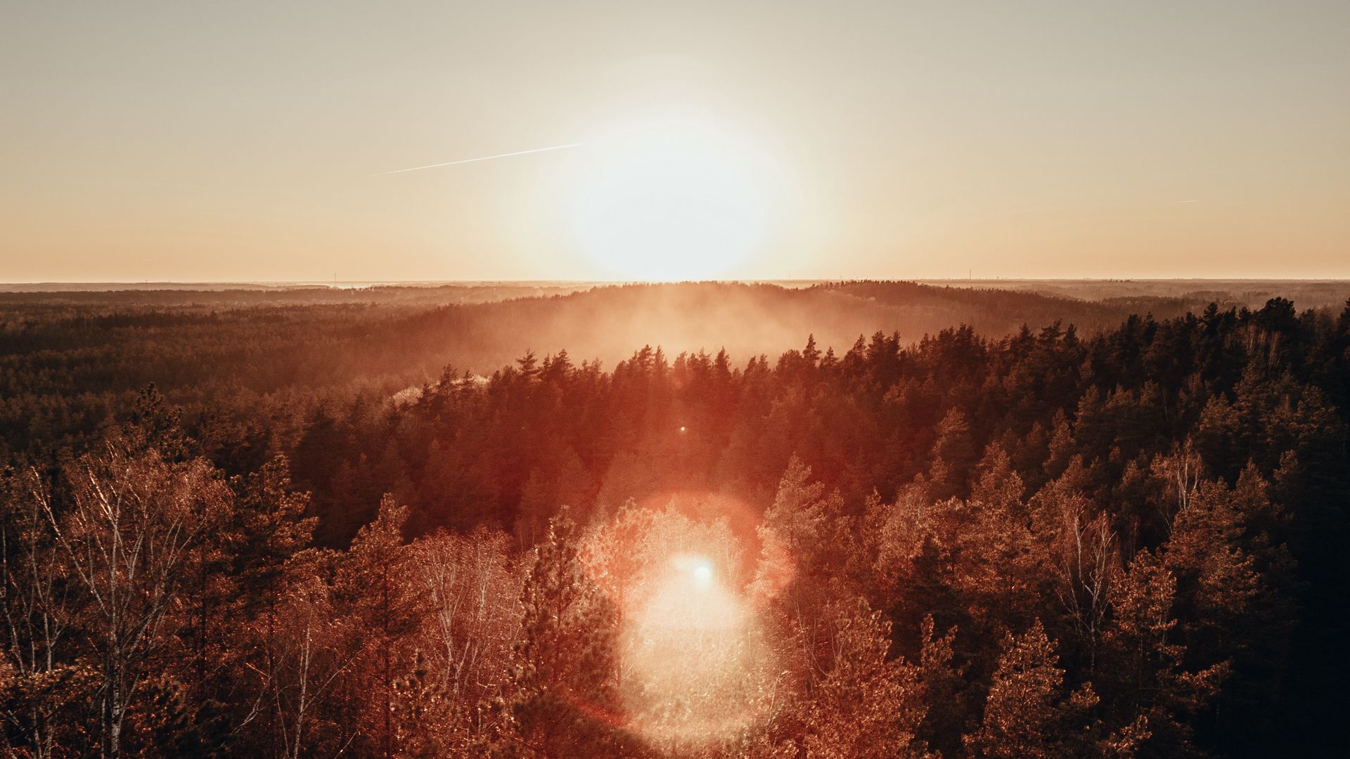 Download wallpaper 1920x1080 forest, horizon, sundawn, fog, sun, glare ...