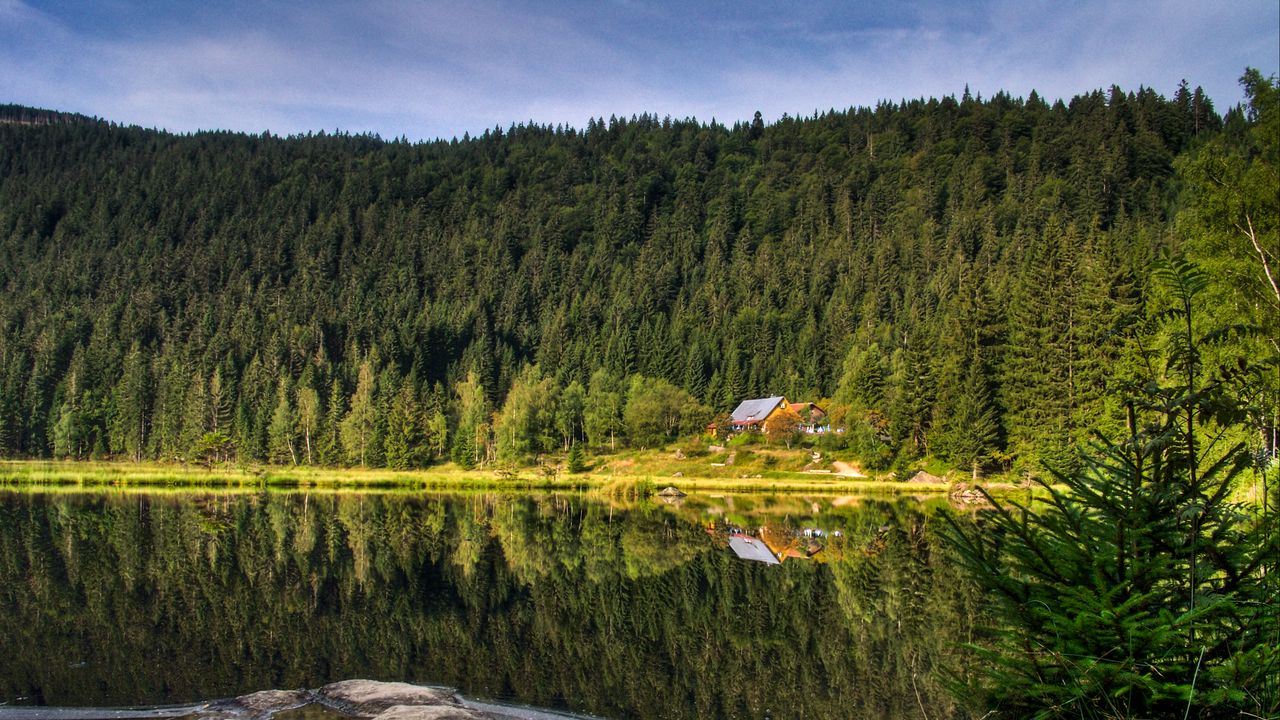 Wallpaper forest, lake, house, reflection, nature hd, picture, image