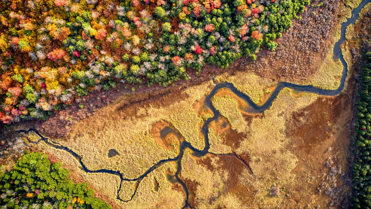 Wallpaper forest, river, aerial view, relief, nature hd, picture, image