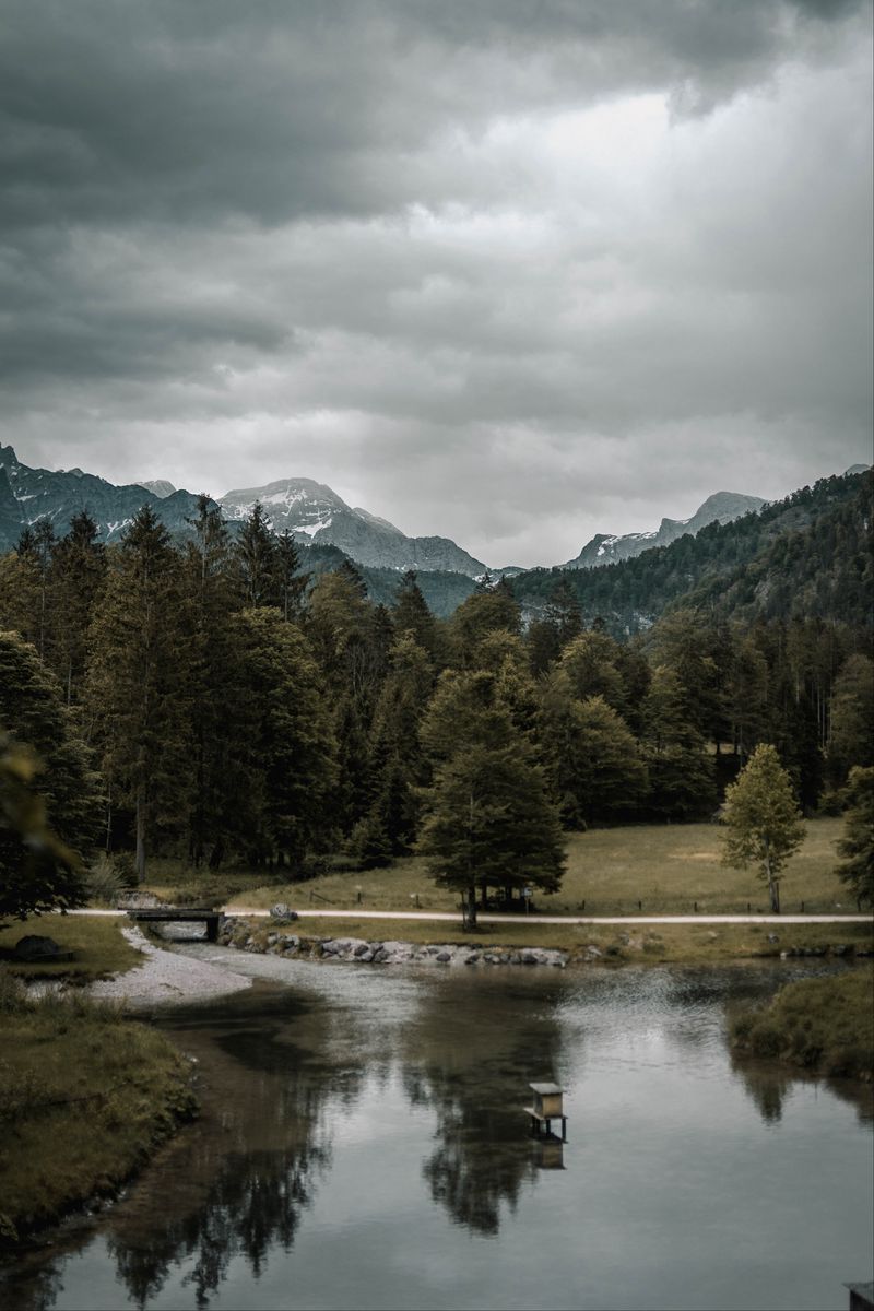 Download wallpaper 800x1200 forest, river, mountains, bridge, landscape ...