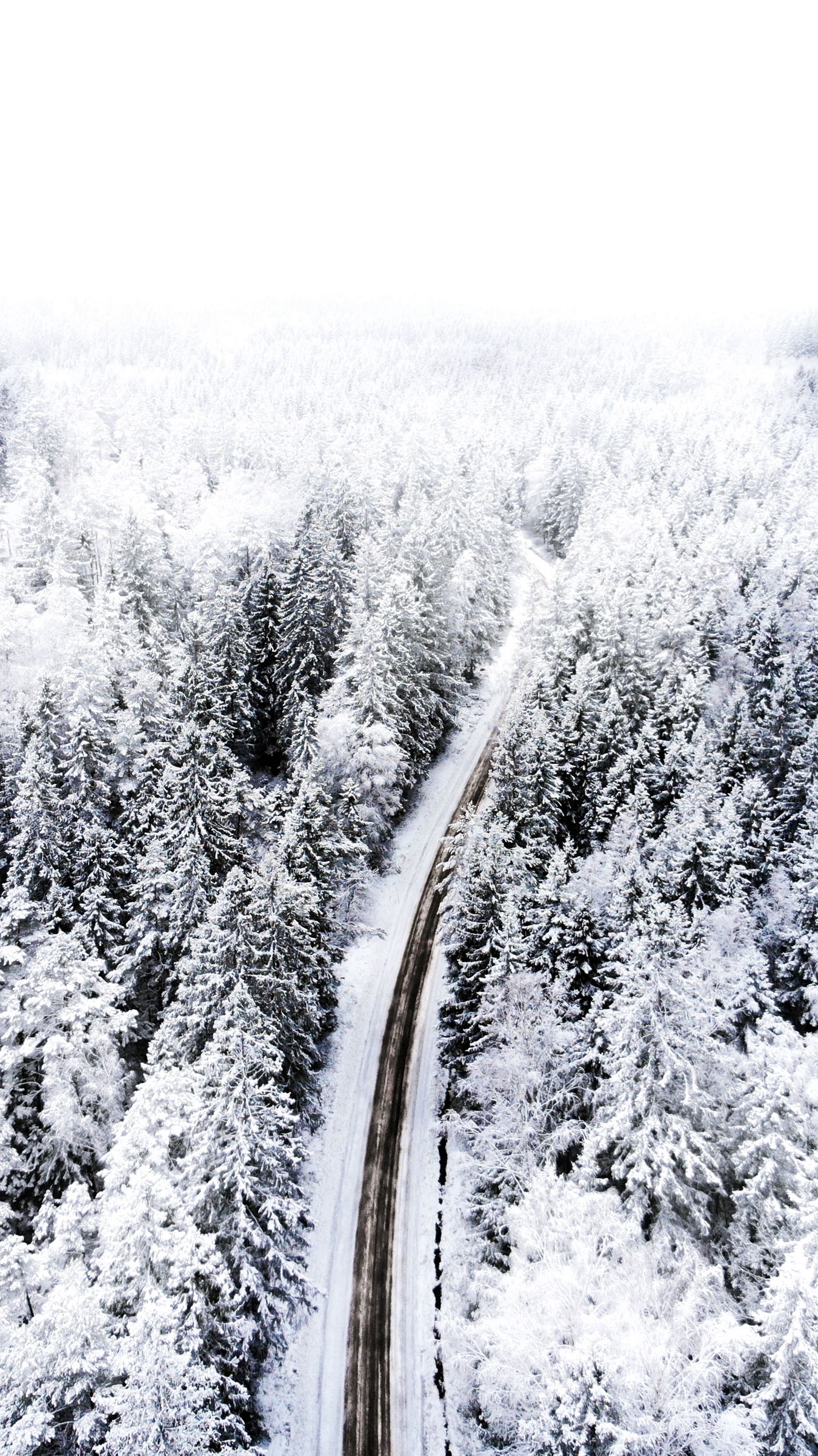 Download wallpaper 1350x2400 forest, road, aerial view, snow, winter ...