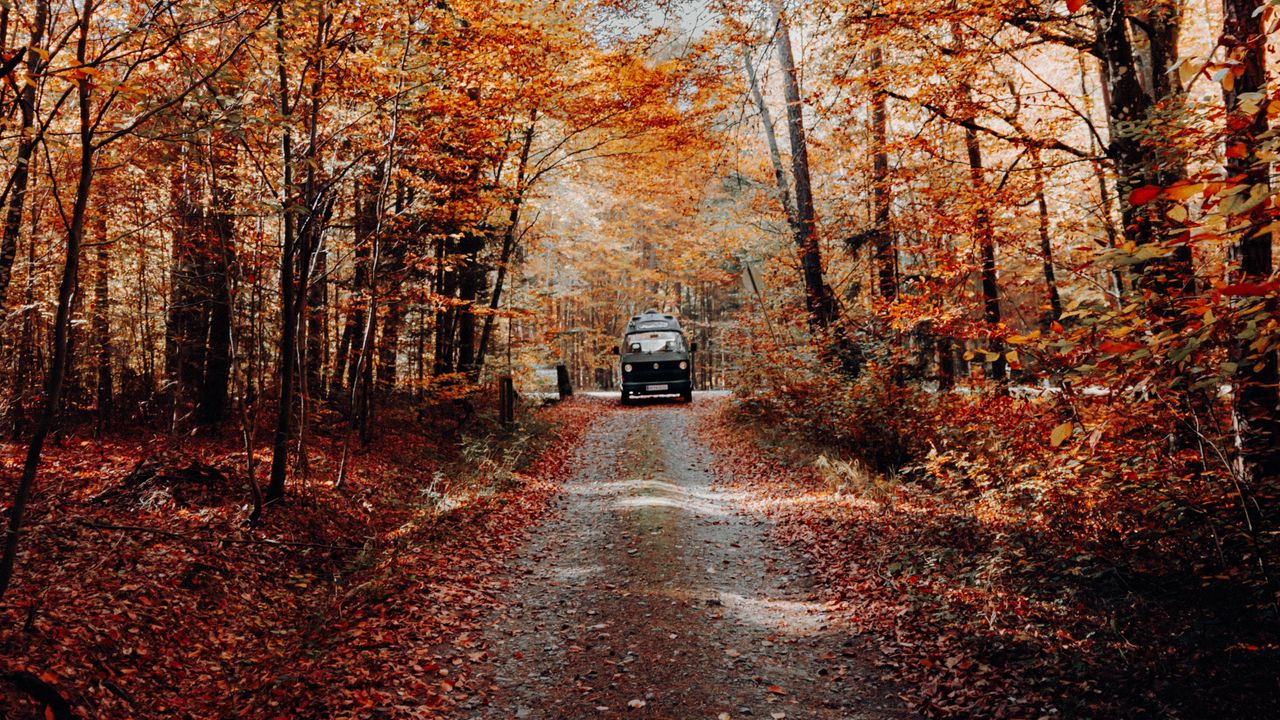 Wallpaper forest, road, car, autumn, nature hd, picture, image