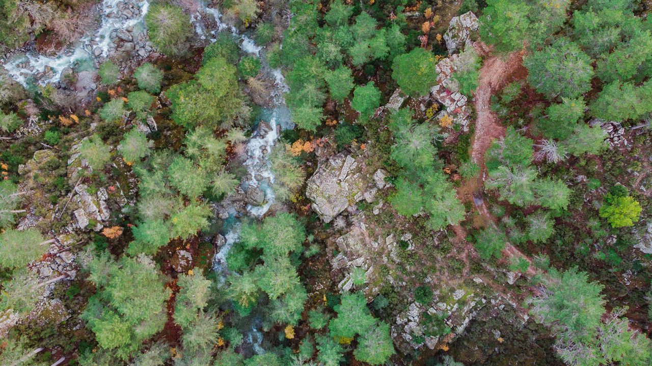 Wallpaper forest, rocks, aerial view, river, nature hd, picture, image