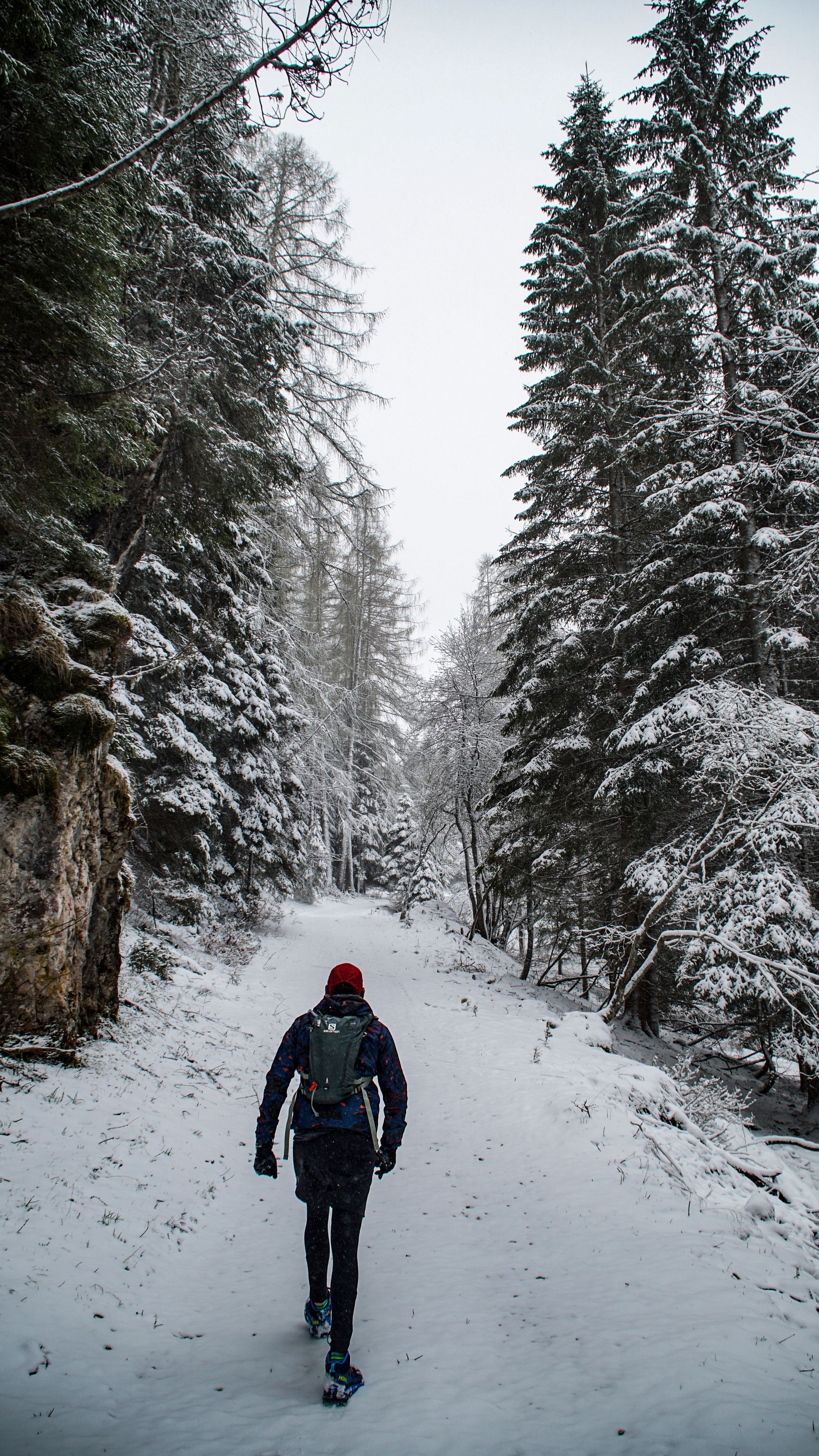 Download wallpaper 2160x3840 forest, snow, tourist, winter, trees ...