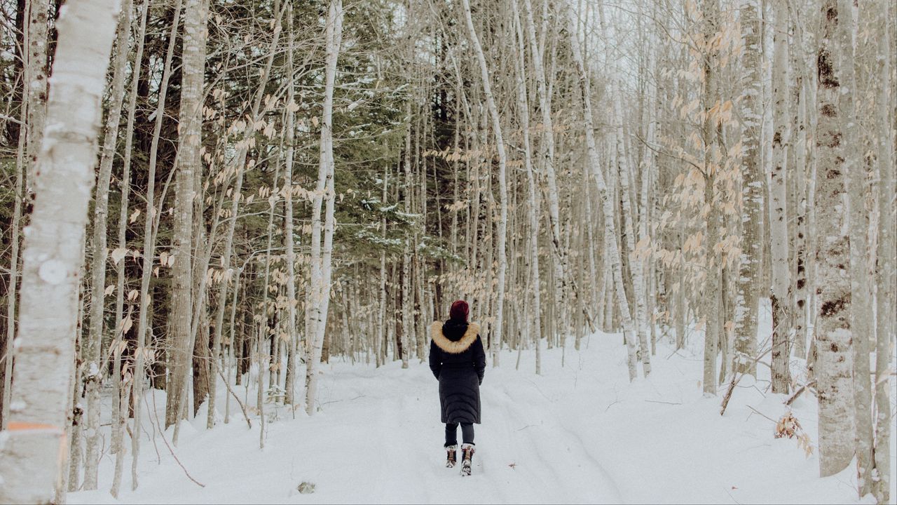 Wallpaper loneliness, forest, snow, winter, sad hd, picture, image