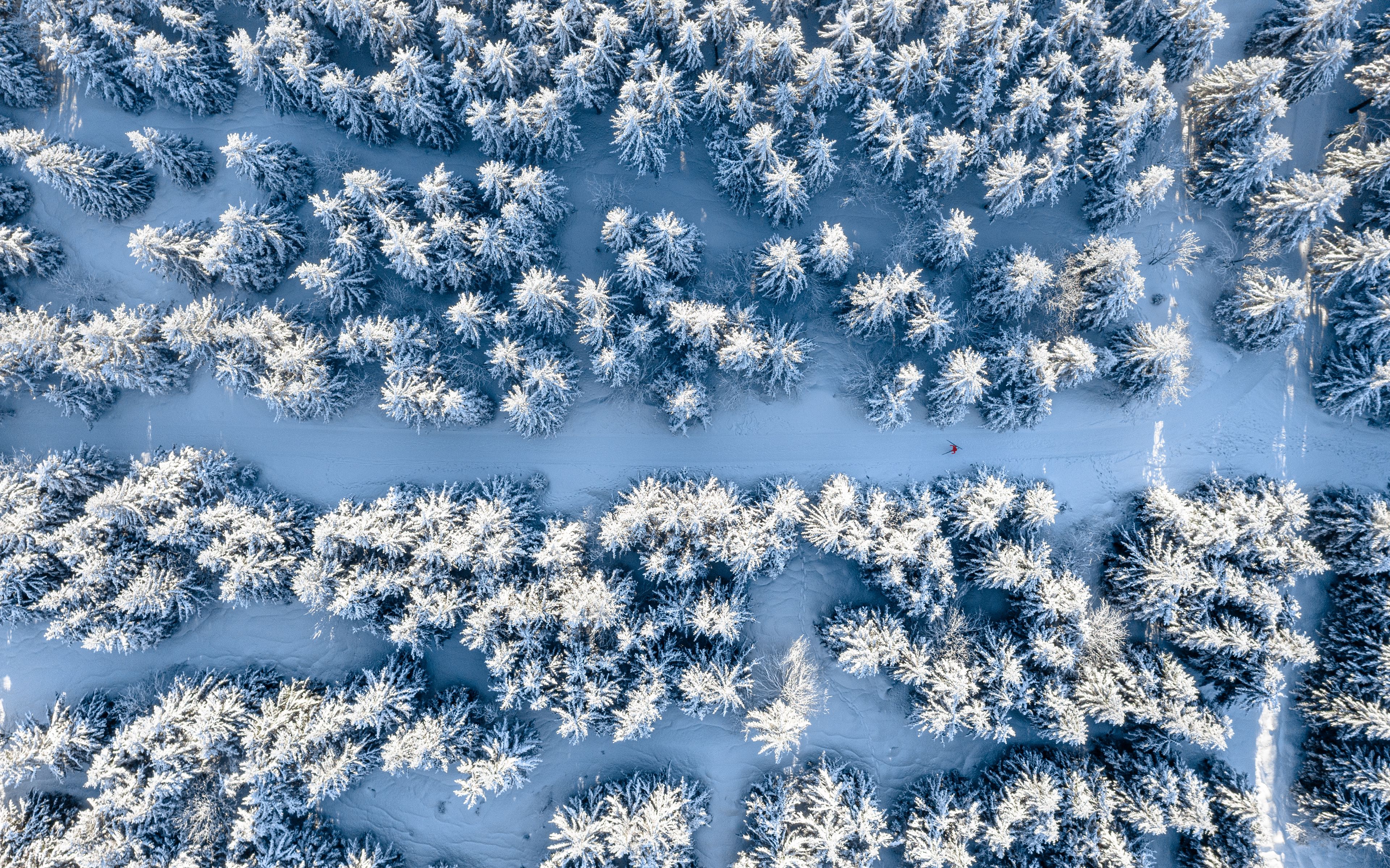 Download wallpaper 3840x2400 forest, snow, winter, aerial view 4k ultra ...