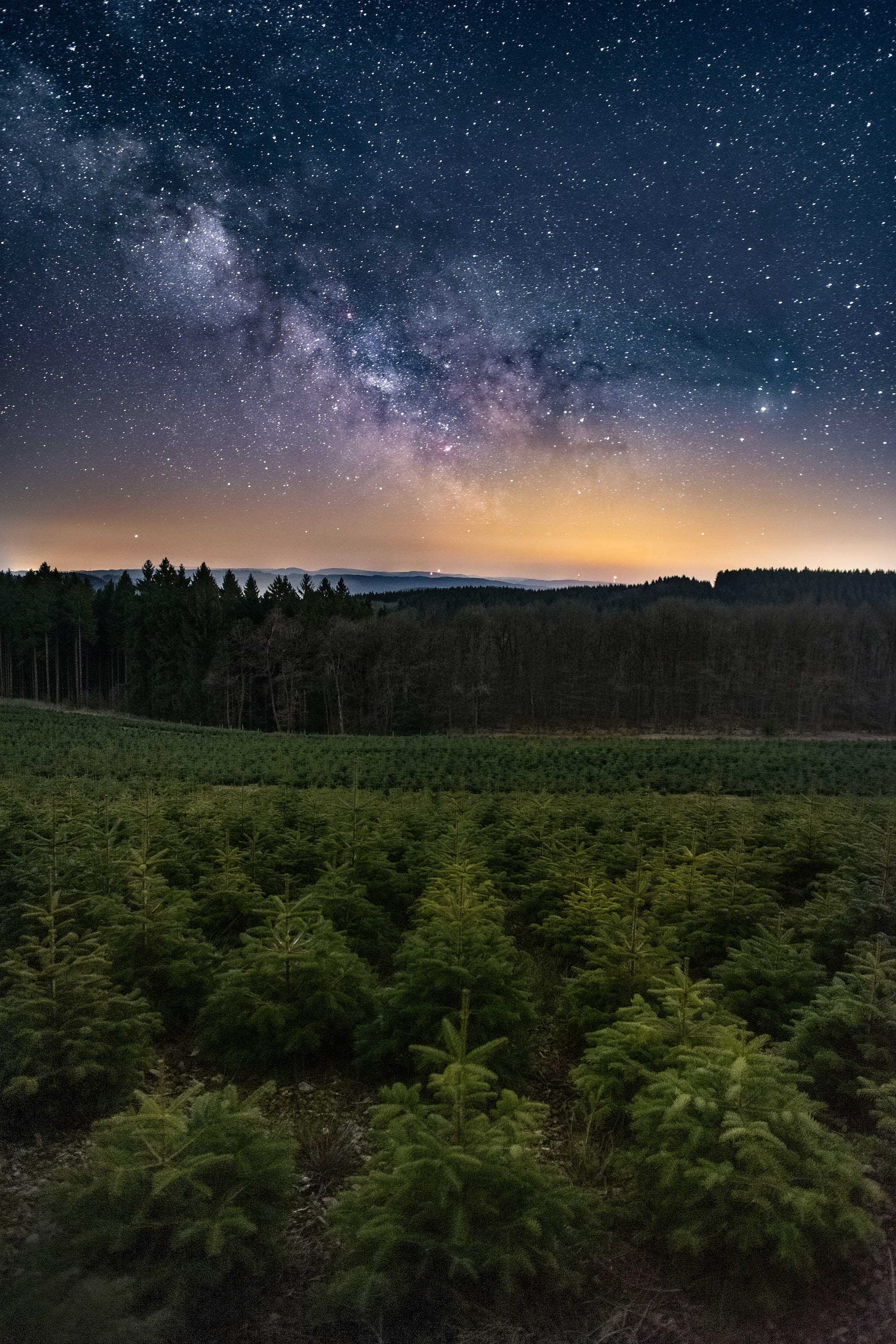 Download wallpaper 2000x3000 forest, starry sky, trees hd background