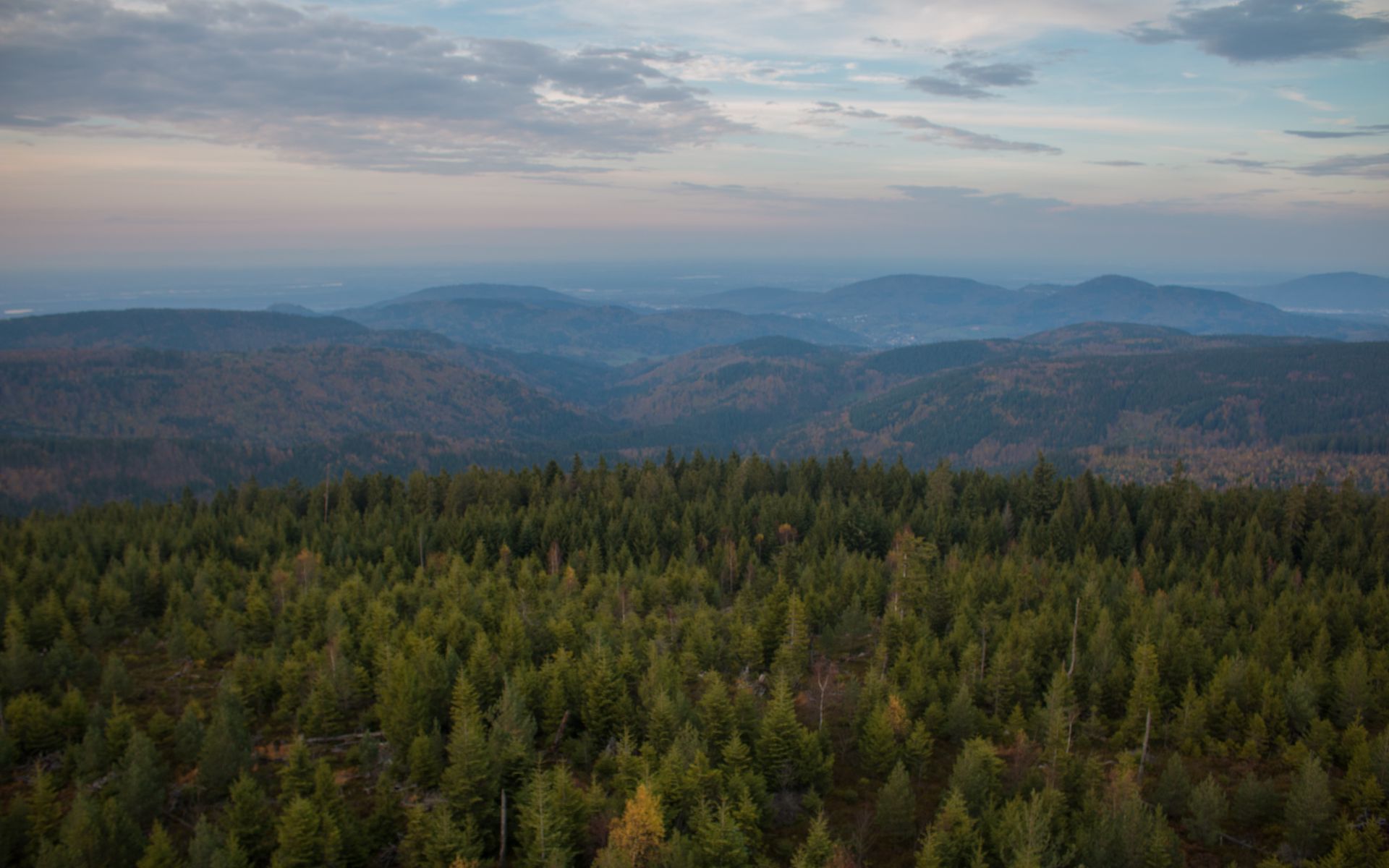 Download wallpaper 1920x1200 forest, trees, hills, landscape widescreen ...