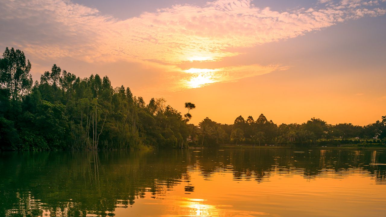 Wallpaper trees, lake, sunset, nature hd, picture, image
