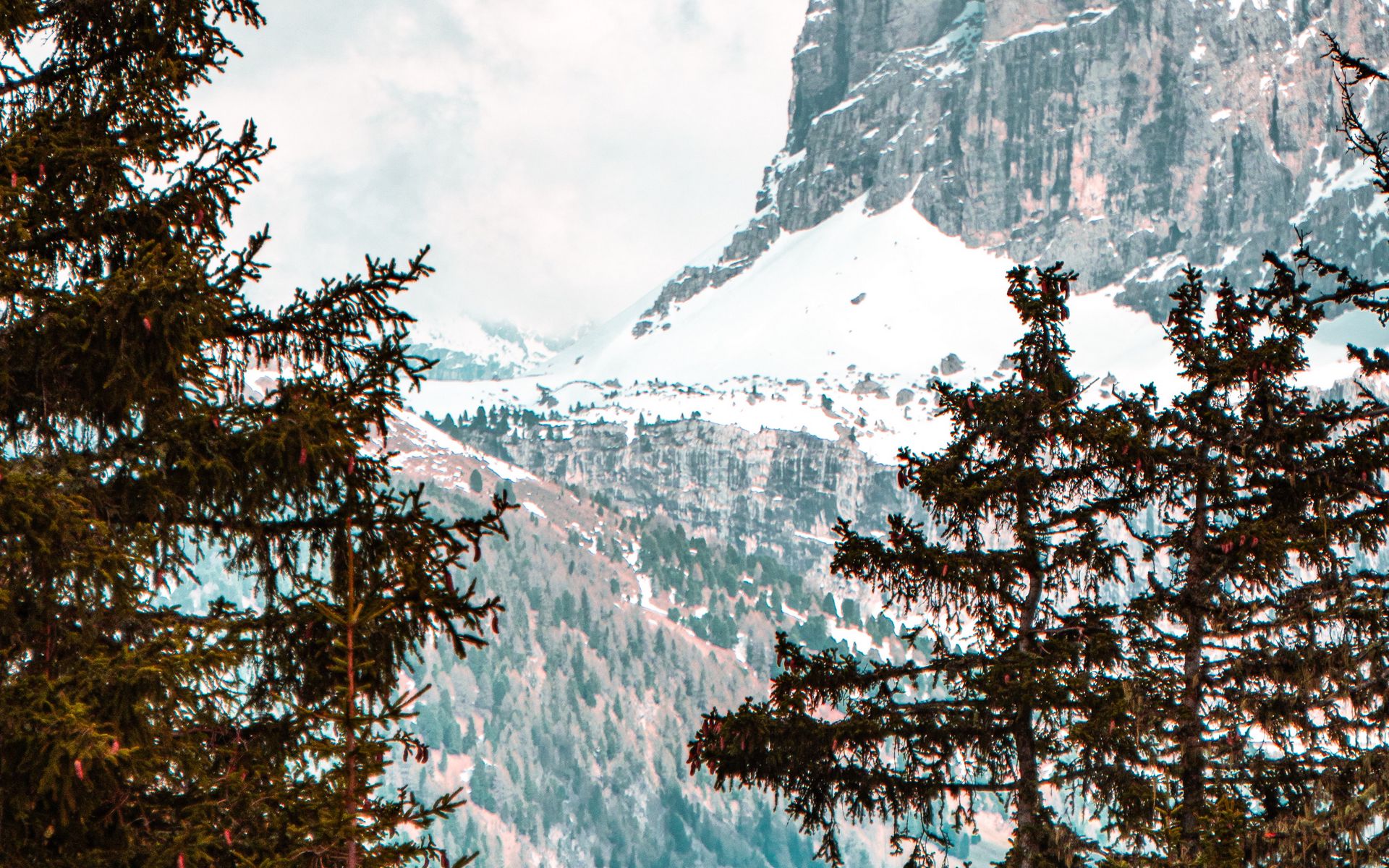 Download wallpaper 1920x1200 forest, trees, mountains, snow, landscape ...