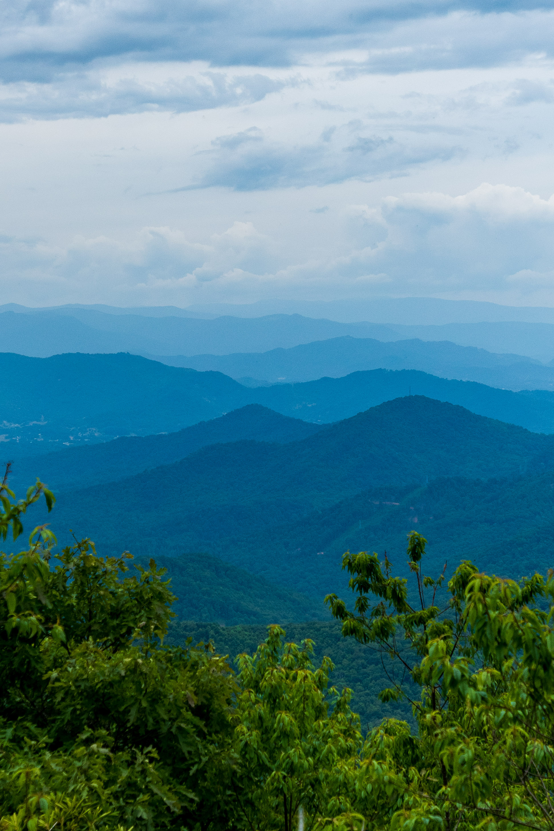 Download wallpaper 1943x2911 forest, trees, mountains, relief ...