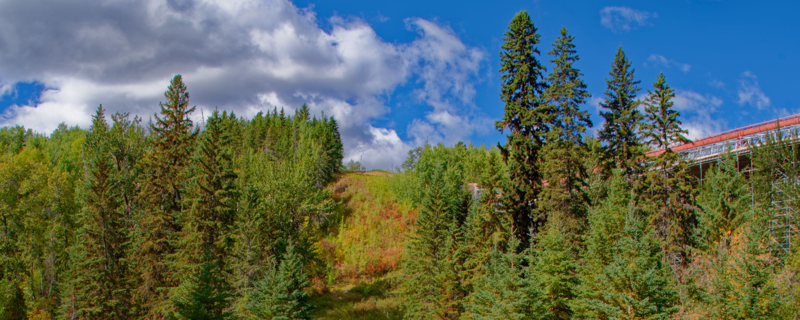 Download wallpaper 2560x1024 forest, trees, river, landscape, green ... Download wallpaper 2560x1024 forest, trees, river, landscape, green ...