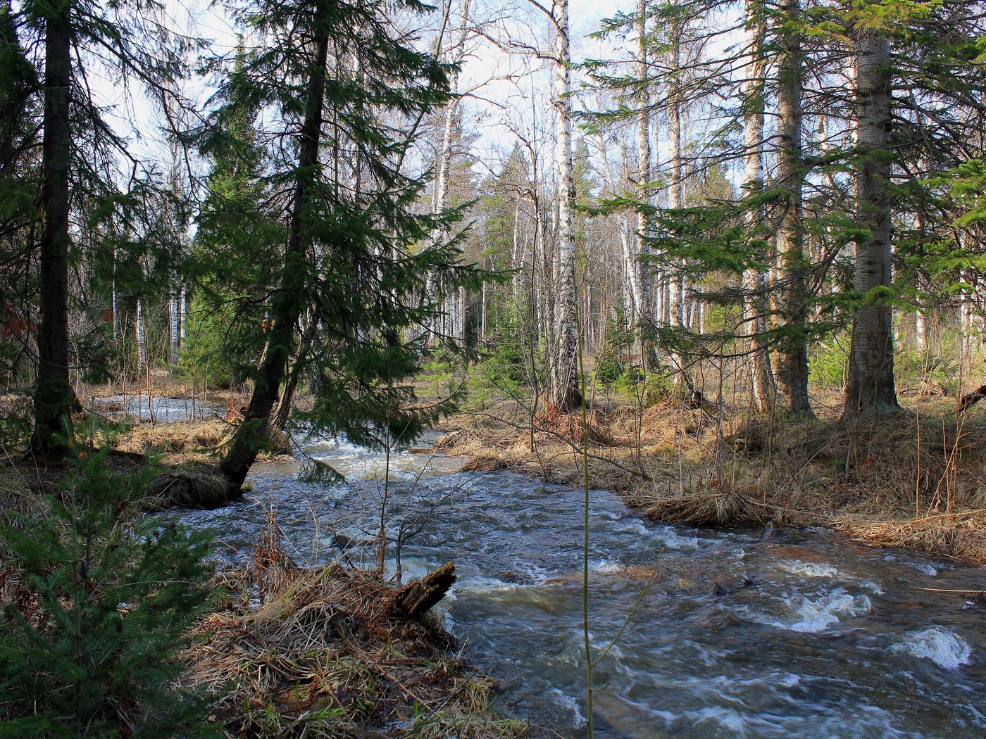 Download wallpaper 1400x1050 forest, trees, river, flow, landscape ... Download wallpaper 1400x1050 forest, trees, river, flow, landscape ...