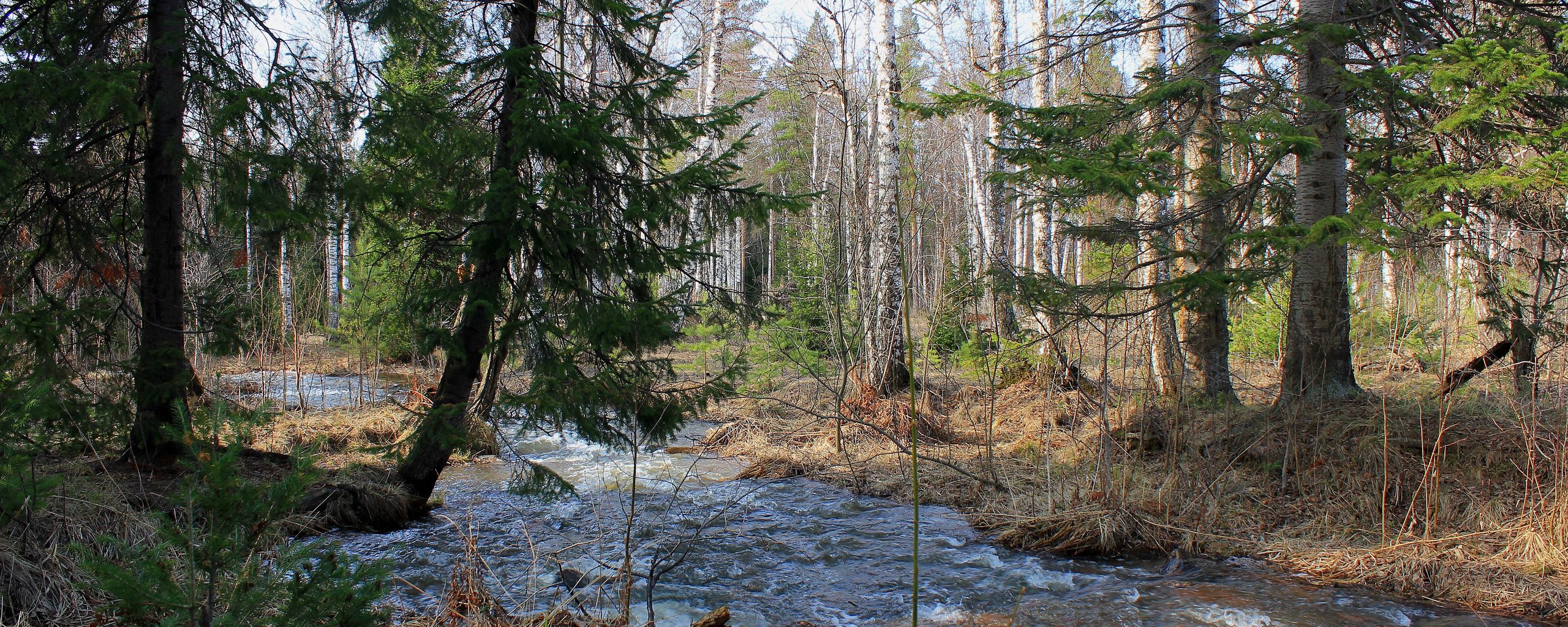 Download wallpaper 2560x1024 forest, trees, river, flow, landscape ... Download wallpaper 2560x1024 forest, trees, river, flow, landscape ...