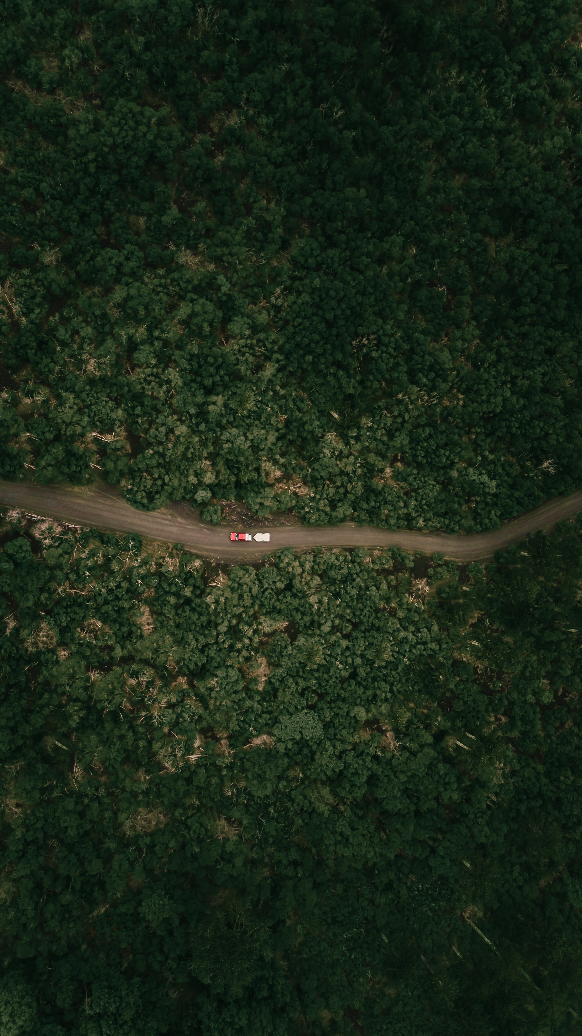 Download wallpaper 2250x4000 forest, trees, road, cars, aerial view hd ...
