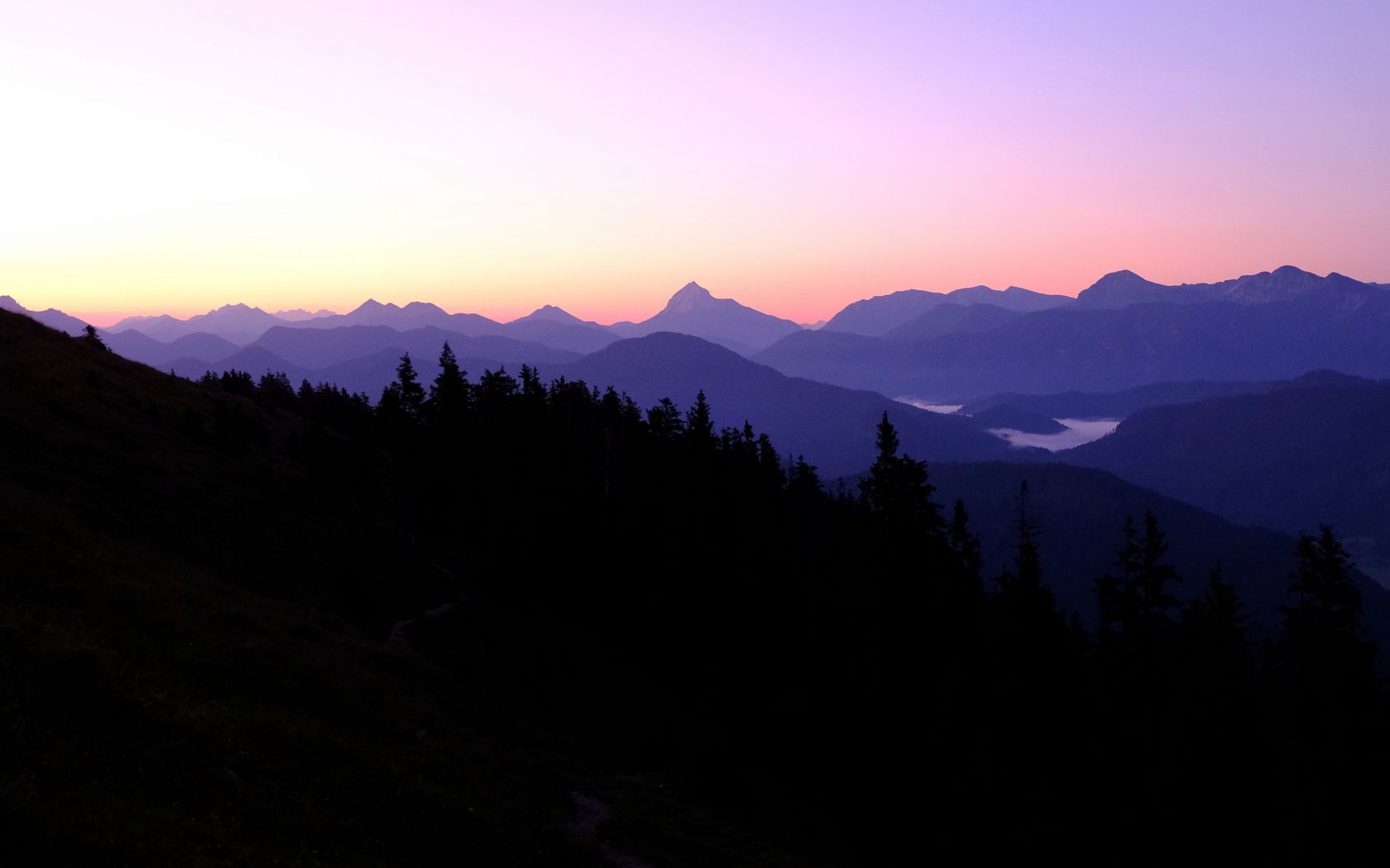 Download wallpaper 1680x1050 forest, trees, silhouettes, twilight ...
