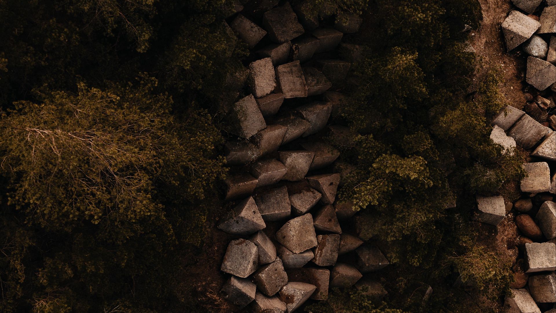 Download wallpaper 1920x1080 forest, trees, stones, aerial view full hd ...