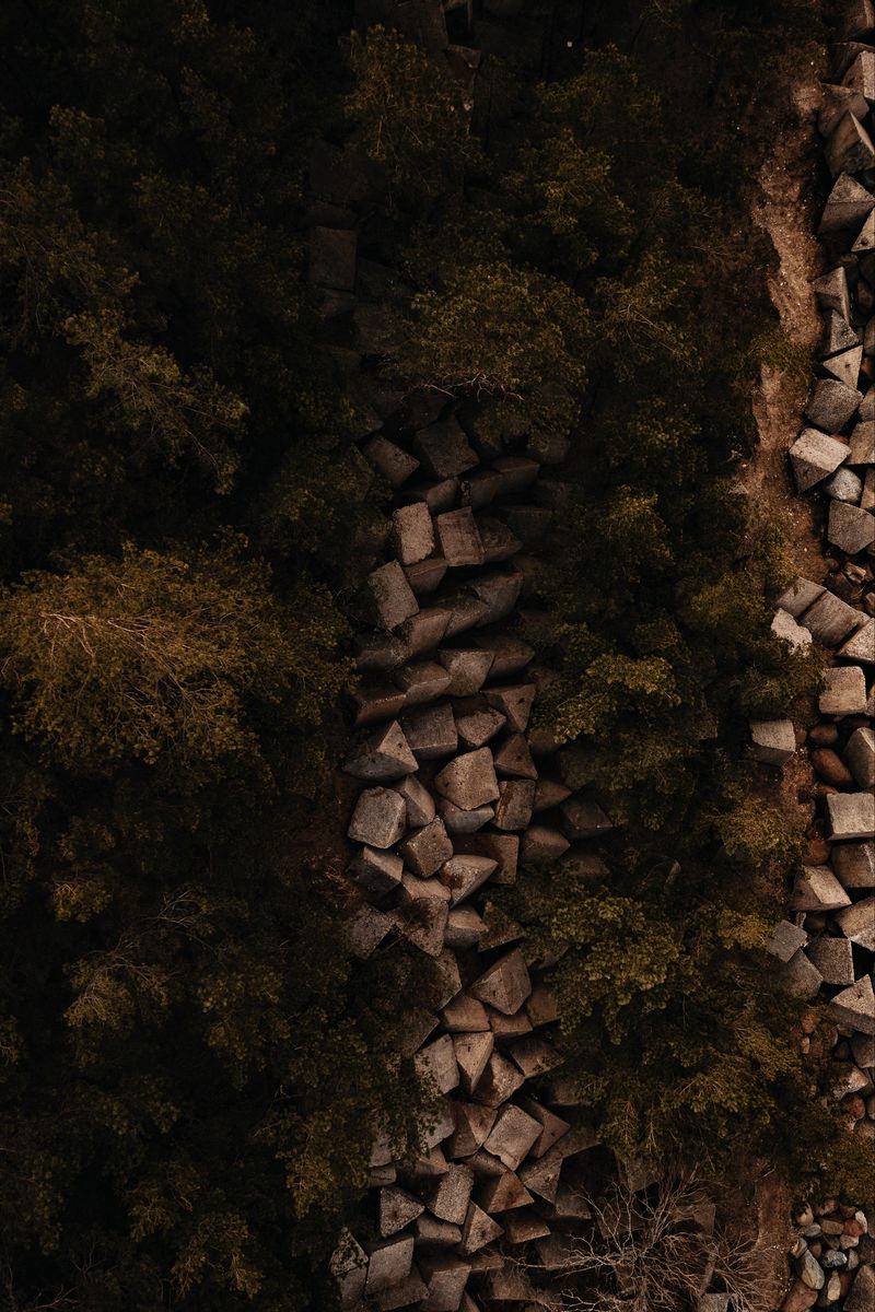 Download wallpaper 800x1200 forest, trees, stones, aerial view iphone ...