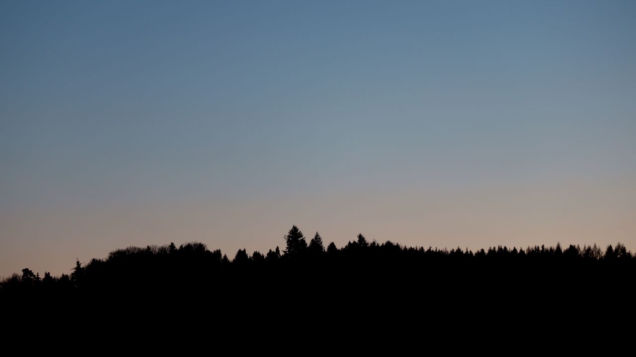 Wallpaper forest, trees, sunset, twilight hd, picture, image