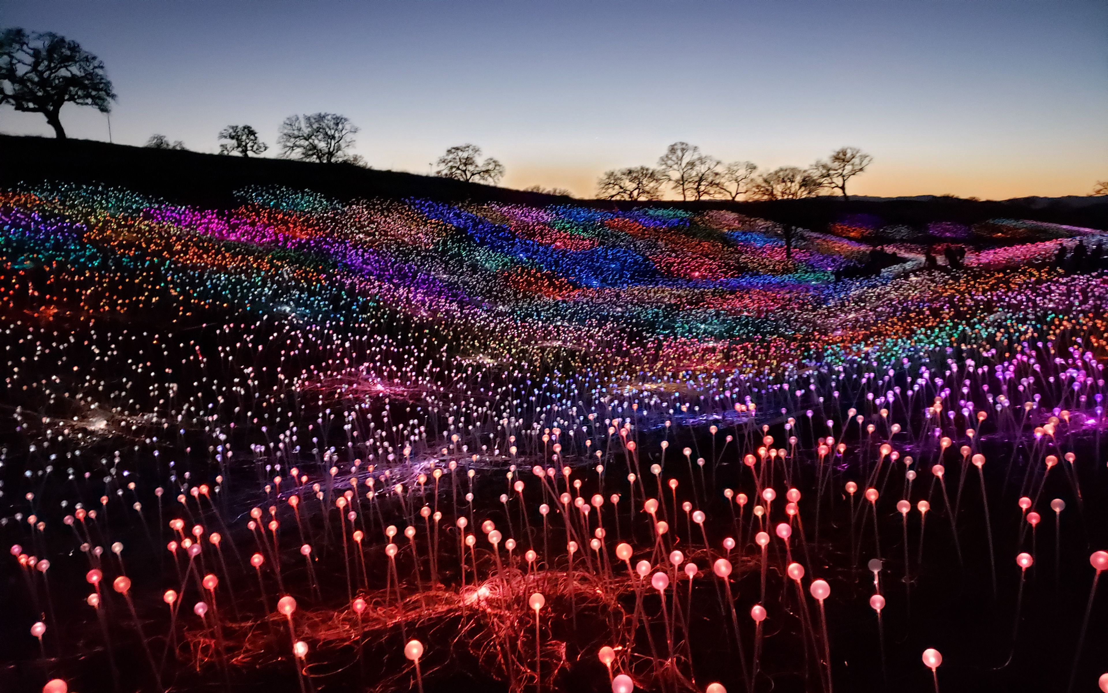 Download wallpaper 3840x2400 garland, lights, light, colorful, field ...