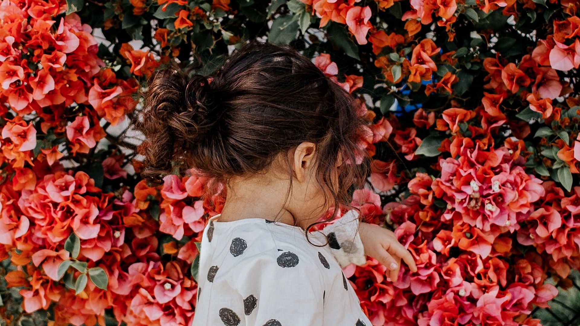 Download wallpaper 1920x1080 girl, child, flowers, bright full hd, hdtv ...