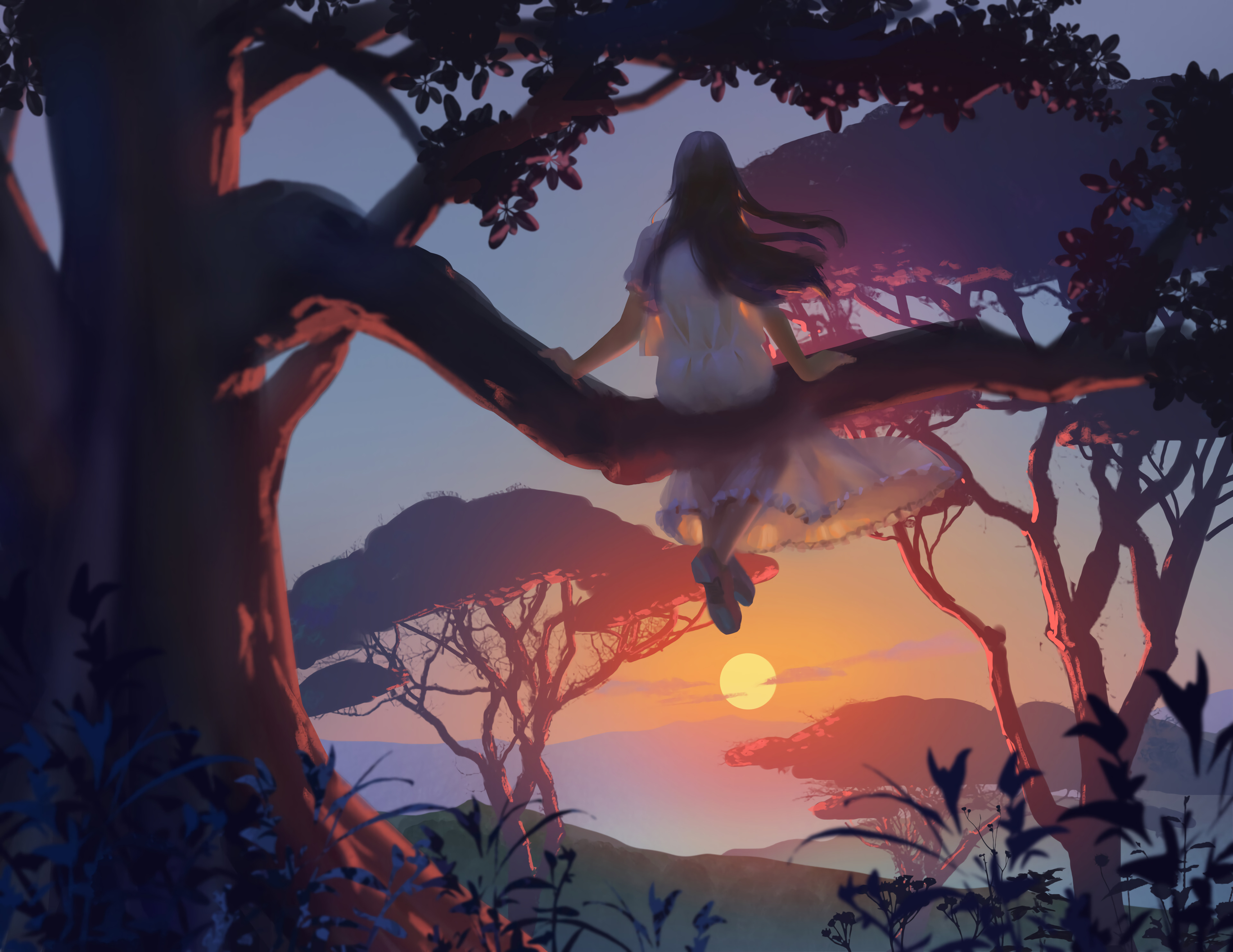A Girl Sitting Alone In The Sunset Anime