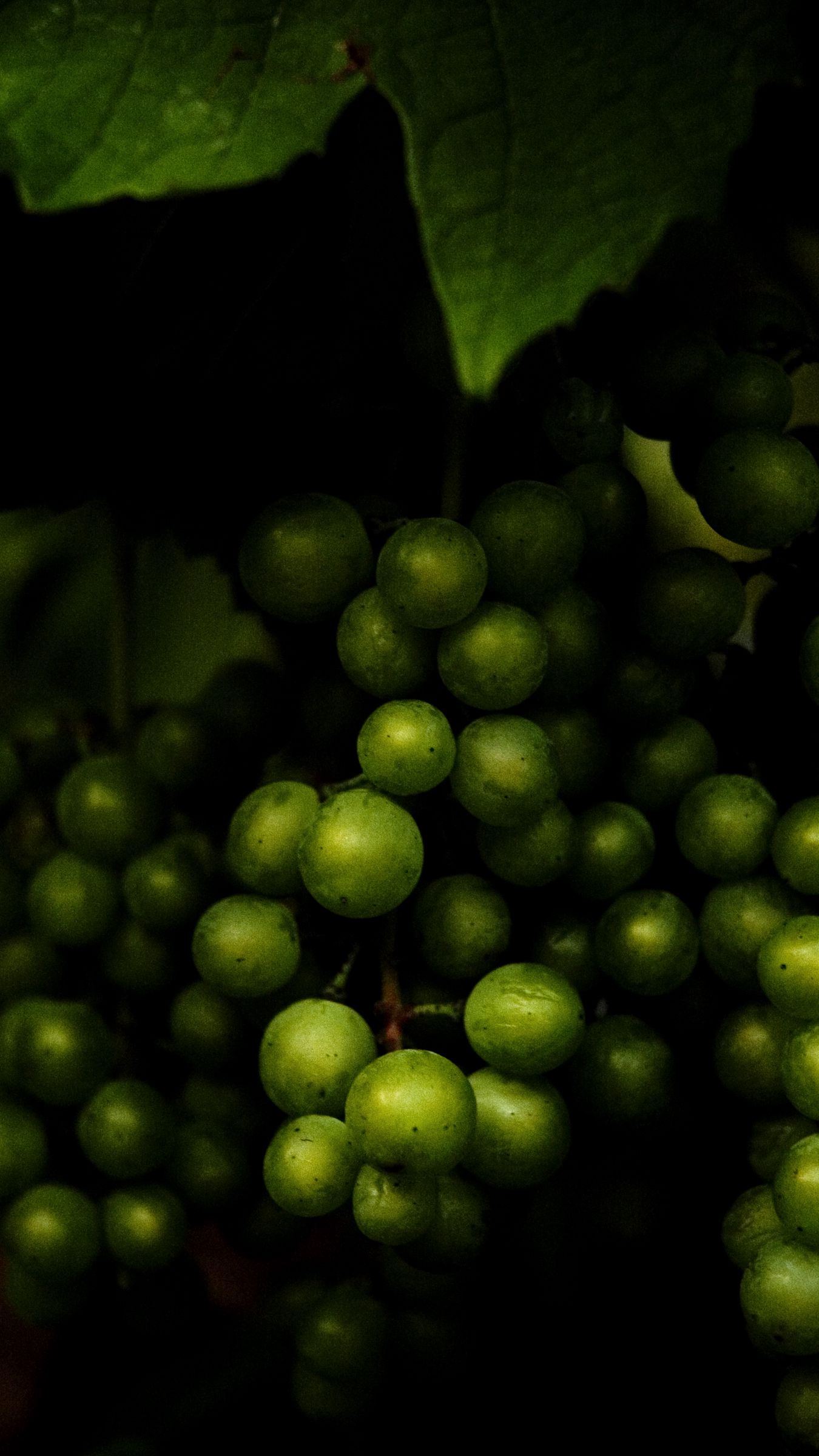 Download wallpaper 1350x2400 grapes, fruit, macro, dark iphone 8+/7+/6s ...